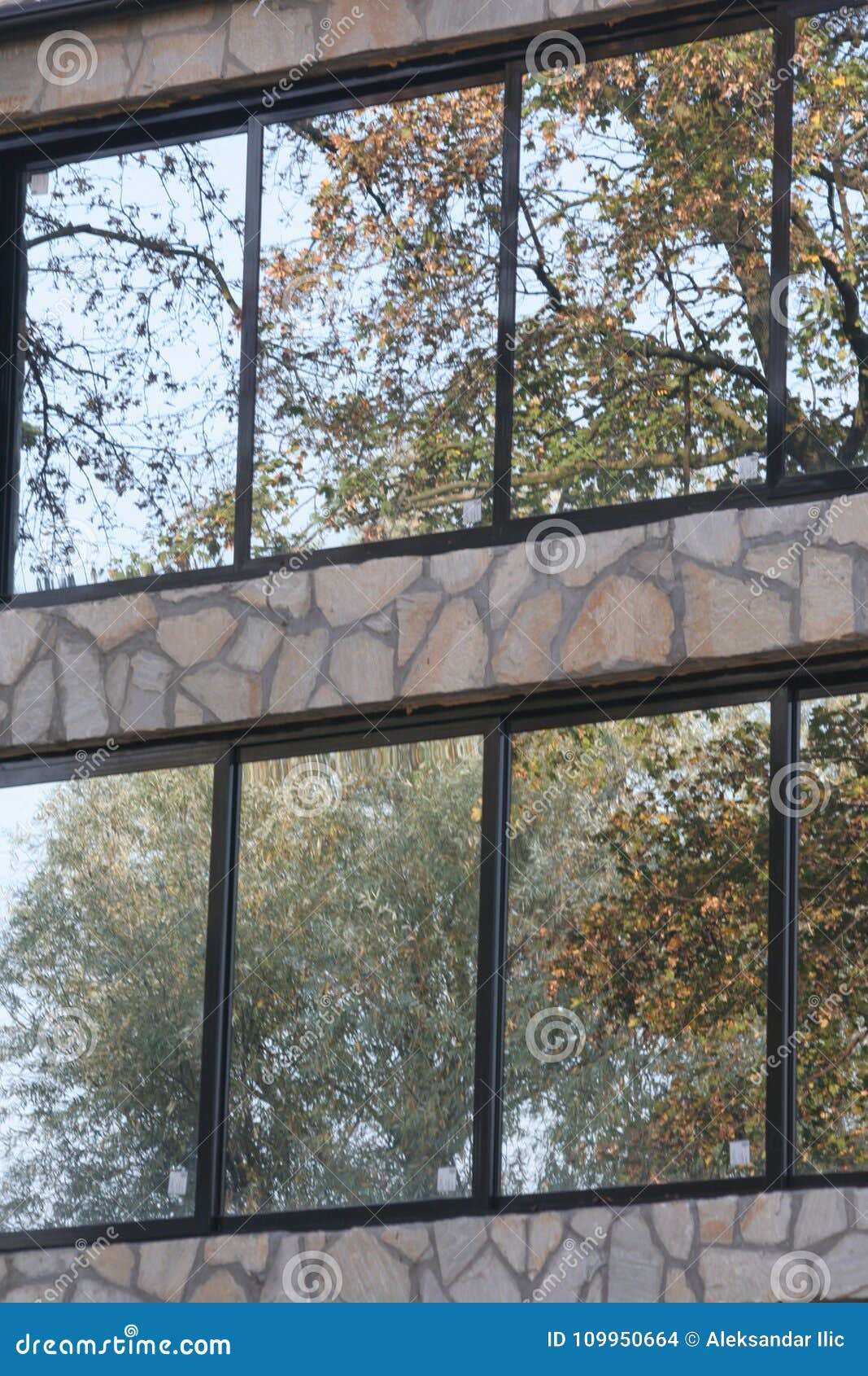 Window mirror stock photo. Image of brilliant, exterior - 109950664