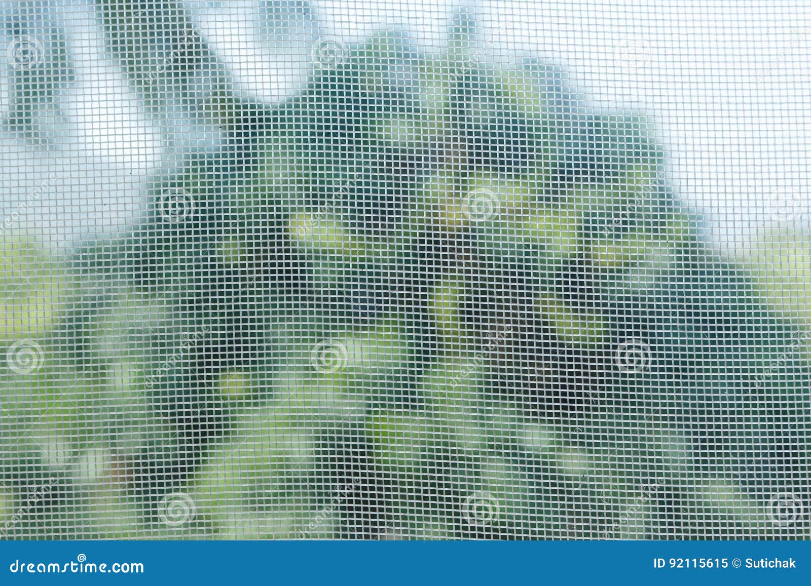 Window Mosquito Wire Screen Stock Image - Image of screen, mesh: 92115615