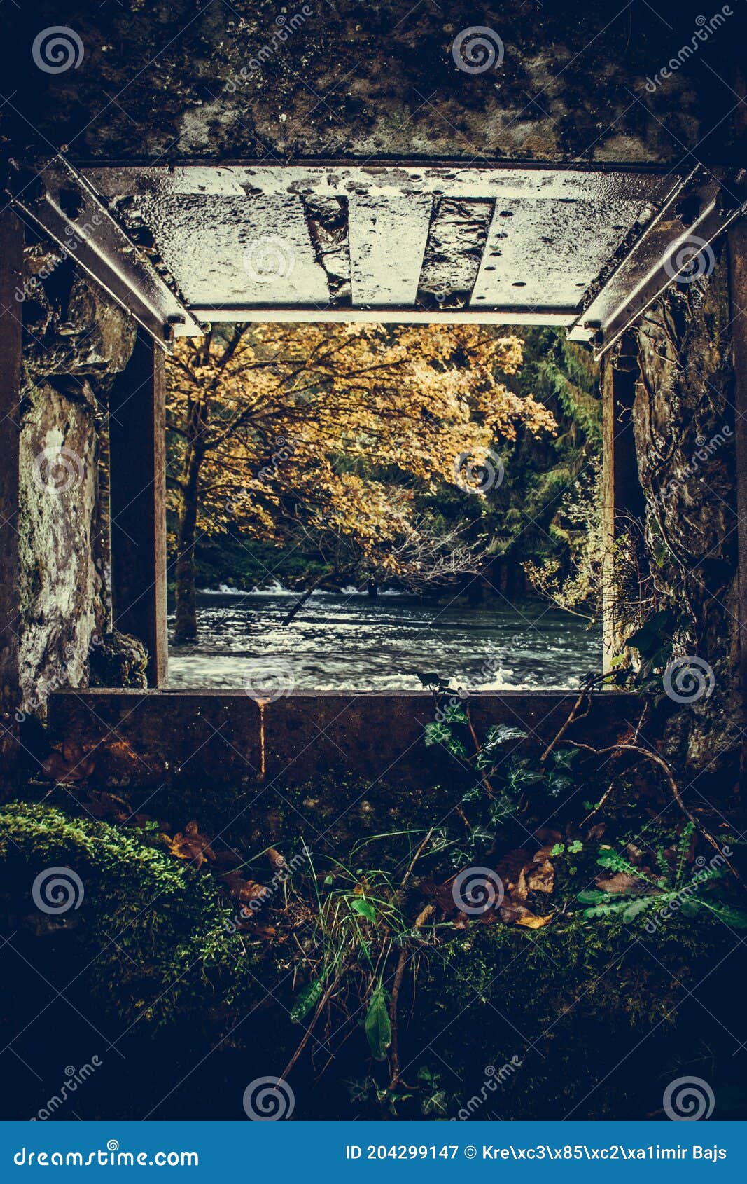 Window into nature stock image. Image of ruins, rock - 204299147