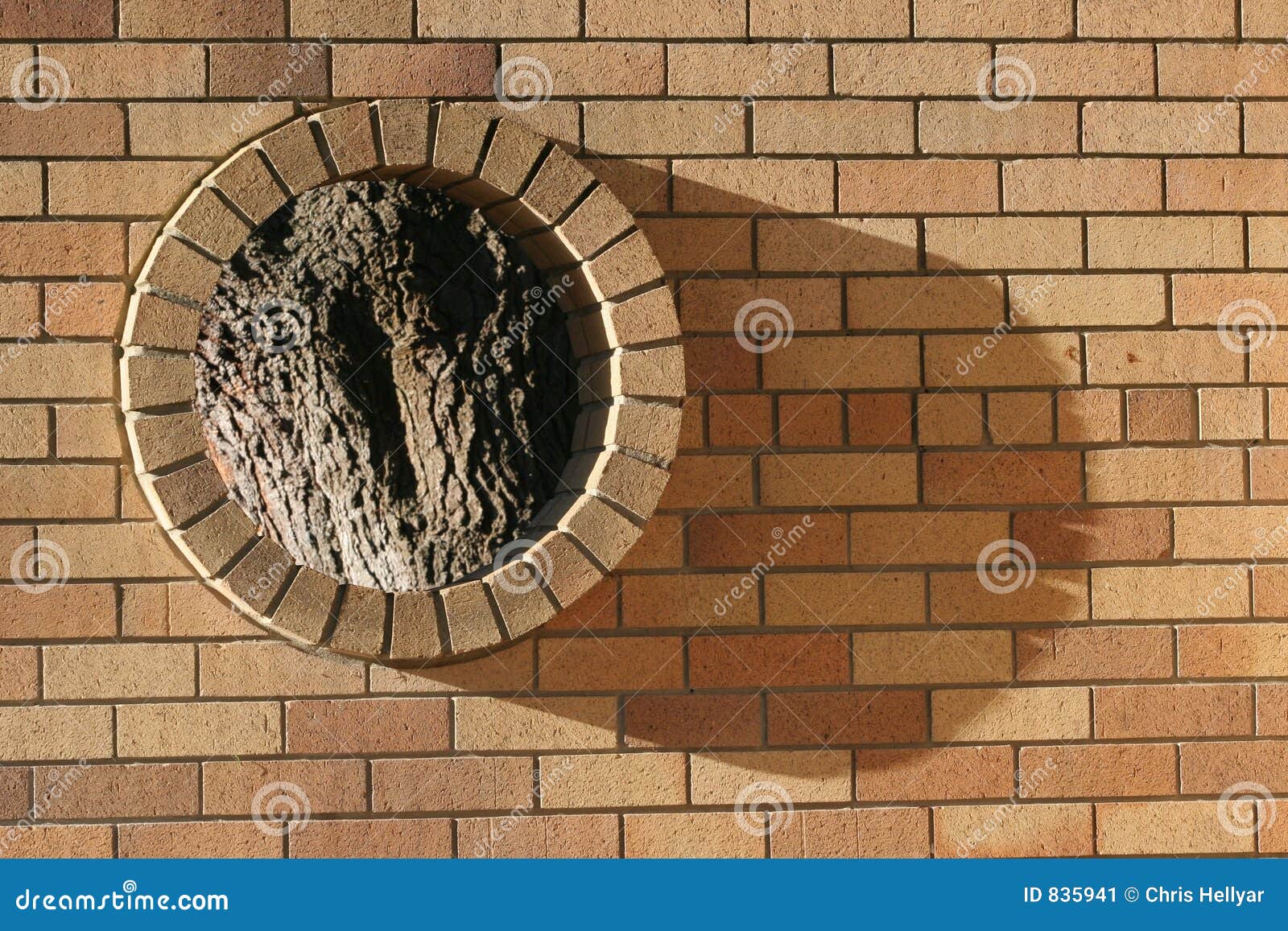 Window On Nature Picture. Image: 835941