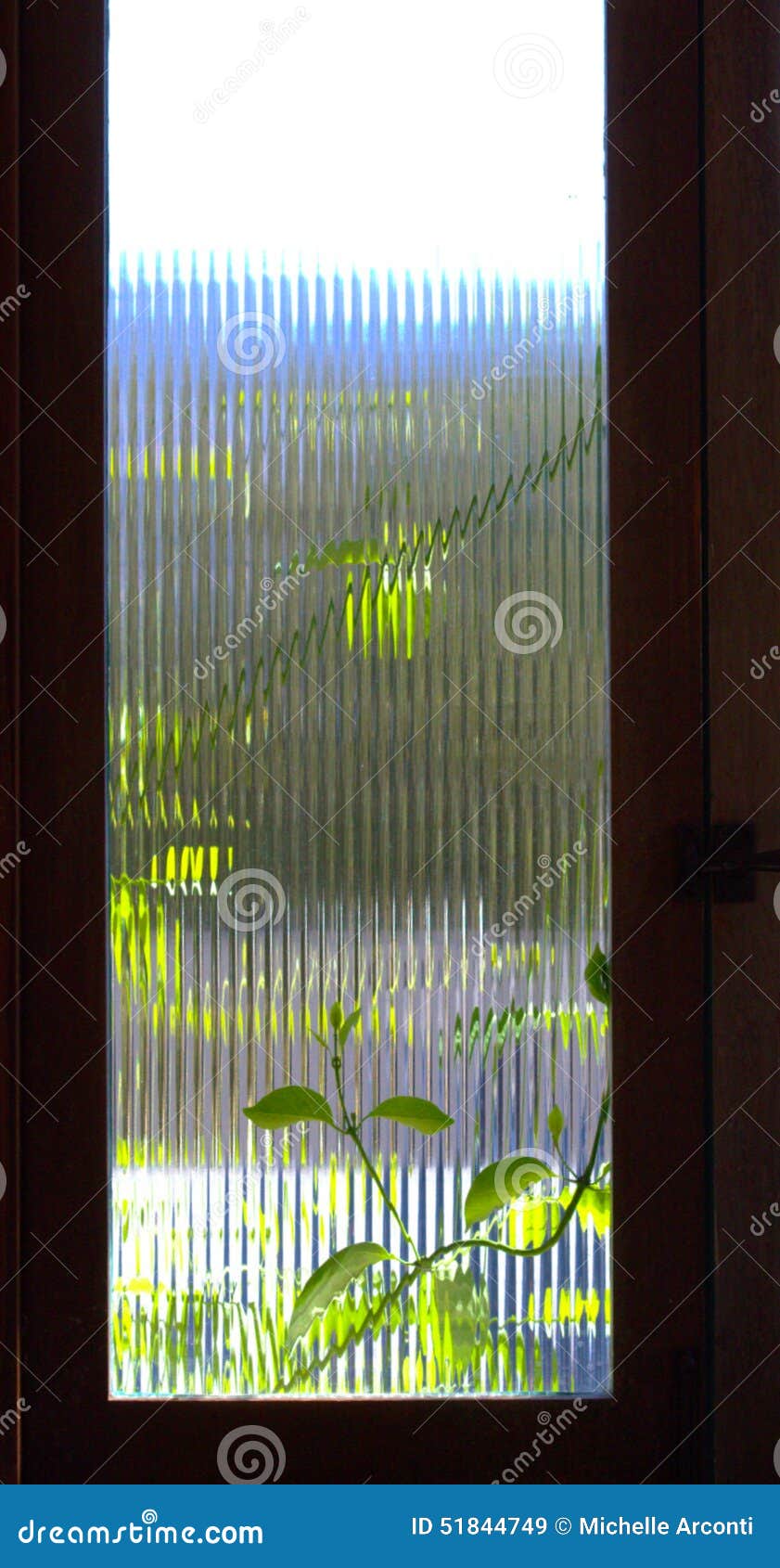 Window and Nature stock image. Image of window, peace - 51844749
