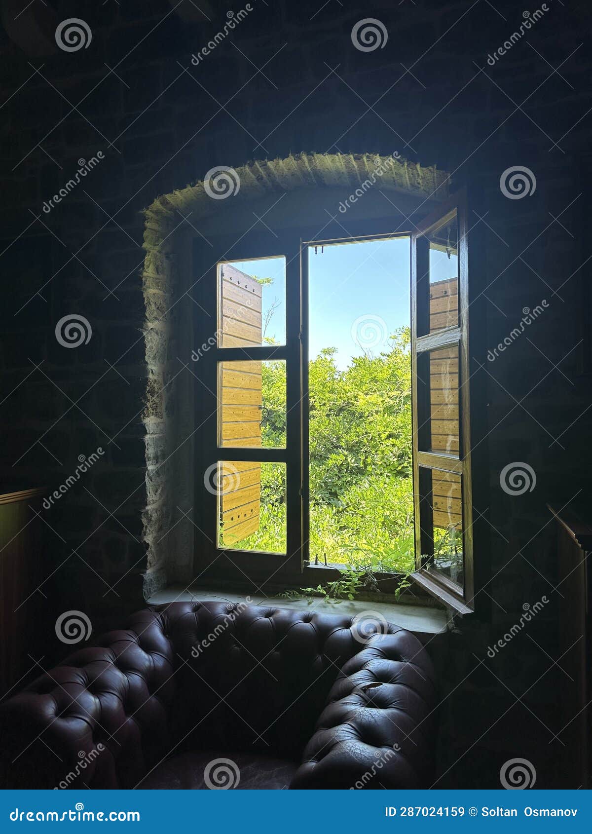 A Window into Nature. a Window into the Future. Trees and Shrubs Stock ...