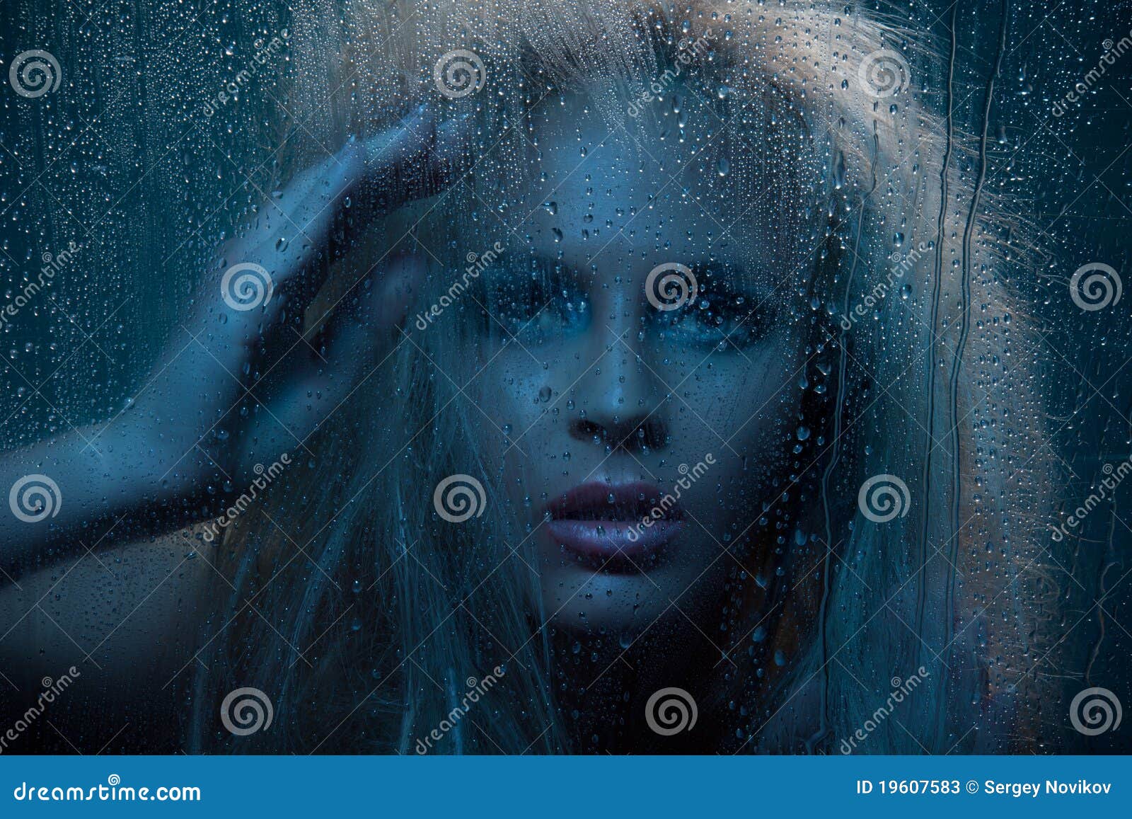 Through window at night stock image. Image of purring - 19607583