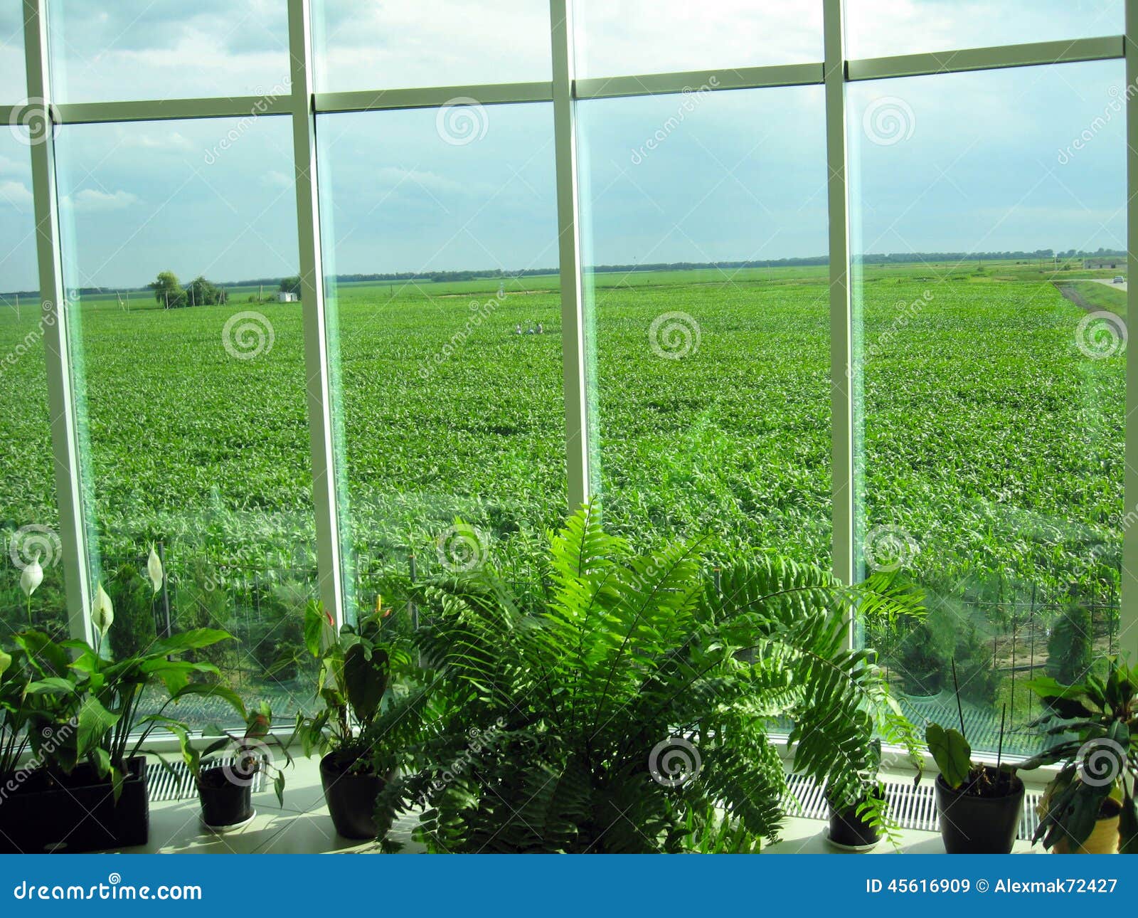 Window of the Office and Field Stock Image - Image of office, view ...