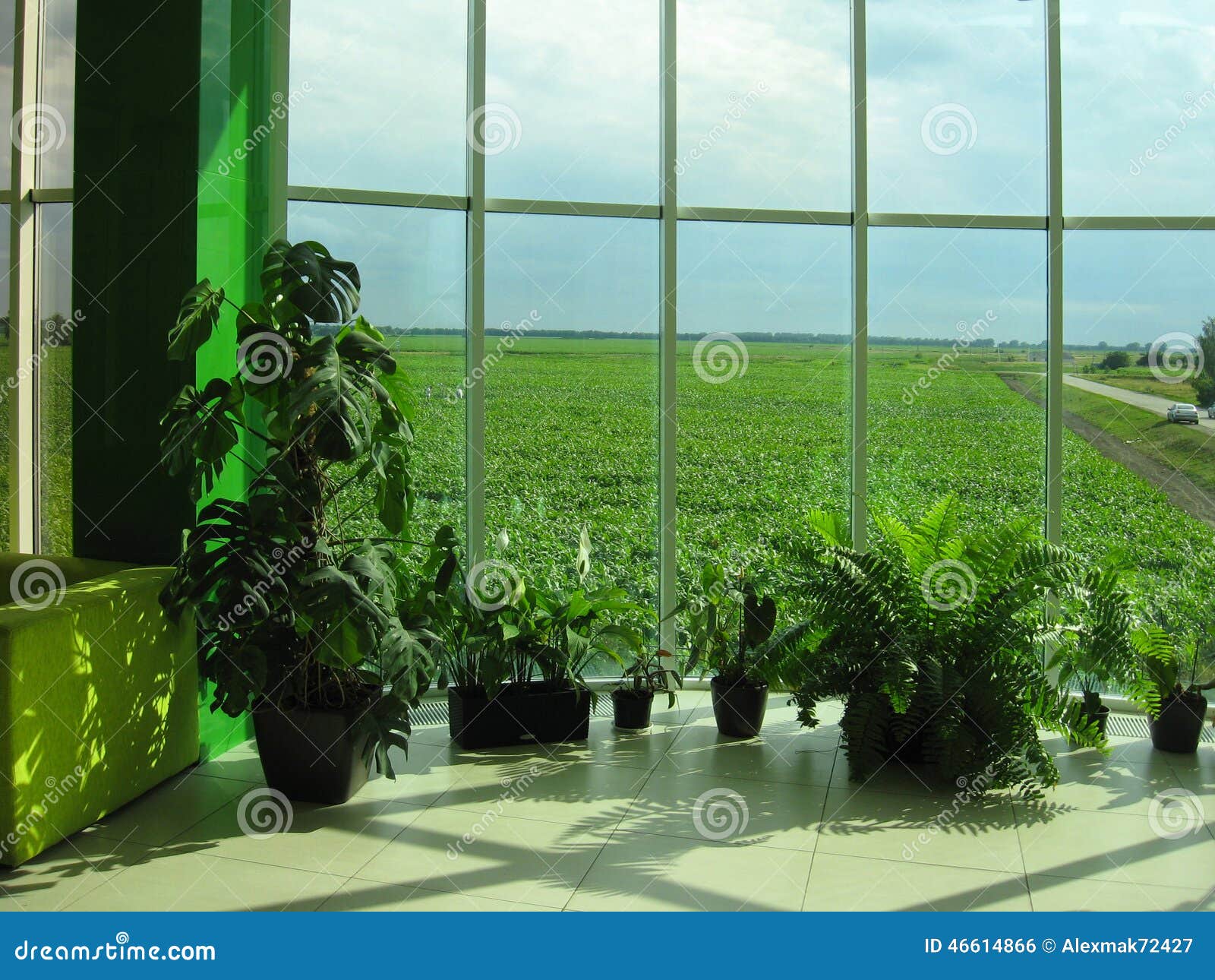 Window of the Office and Field Stock Photo - Image of plant, interior ...