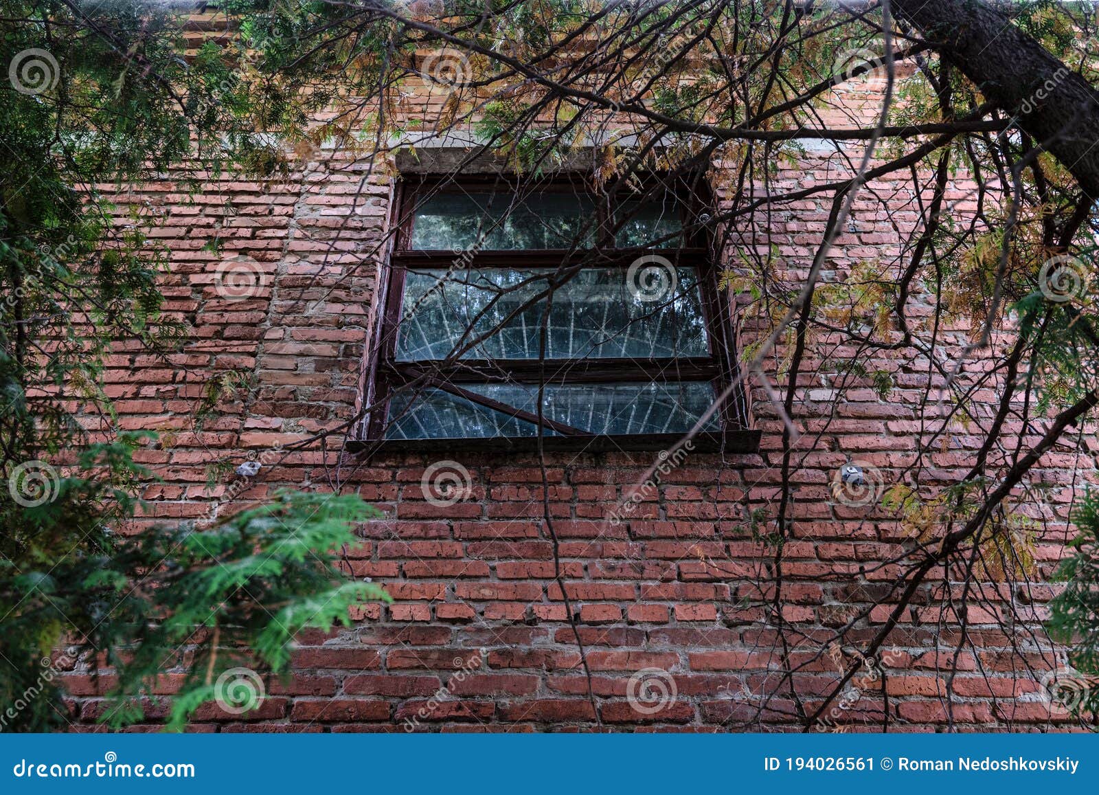 Window on an Old Brick Facade Shaded by Tree Branches Stock Image ...