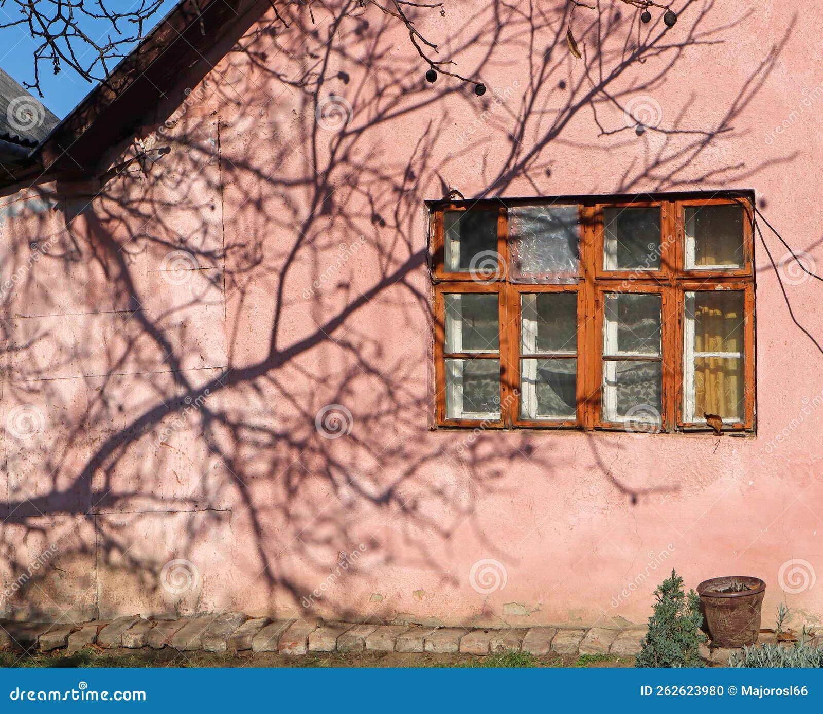 Window of an Old House with Shadow of a Tree Stock Photo - Image of ...