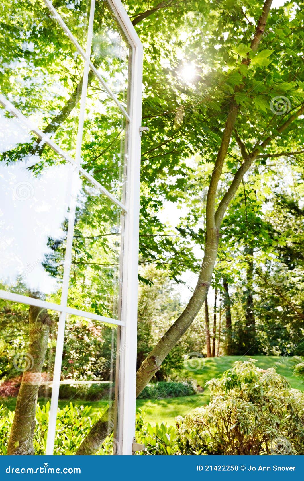 Window Open To Summer Garden Stock Photo - Image of garden, yard: 21422250