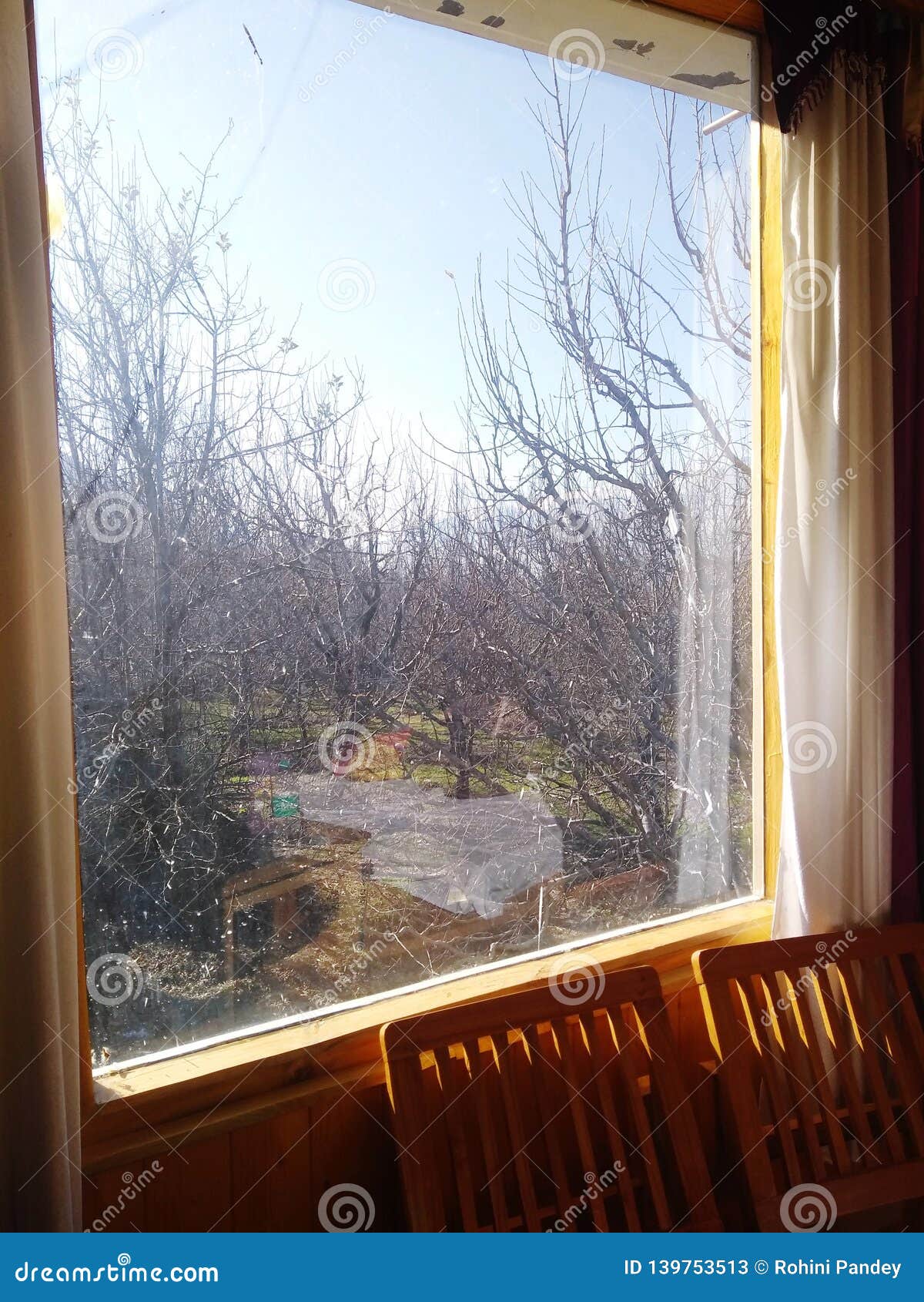 Outside View stock image. Image of outside, trees, room - 139753513