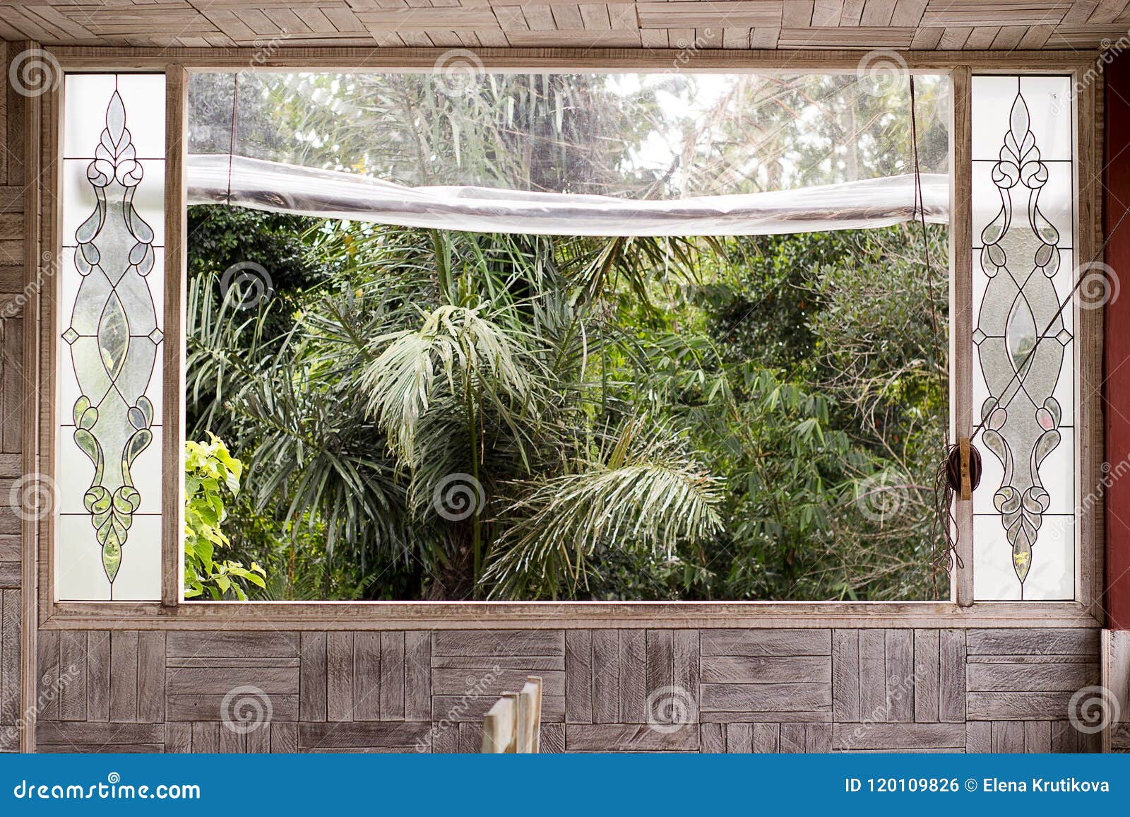 Window with palm view stock photo. Image of hotel, open - 120109826