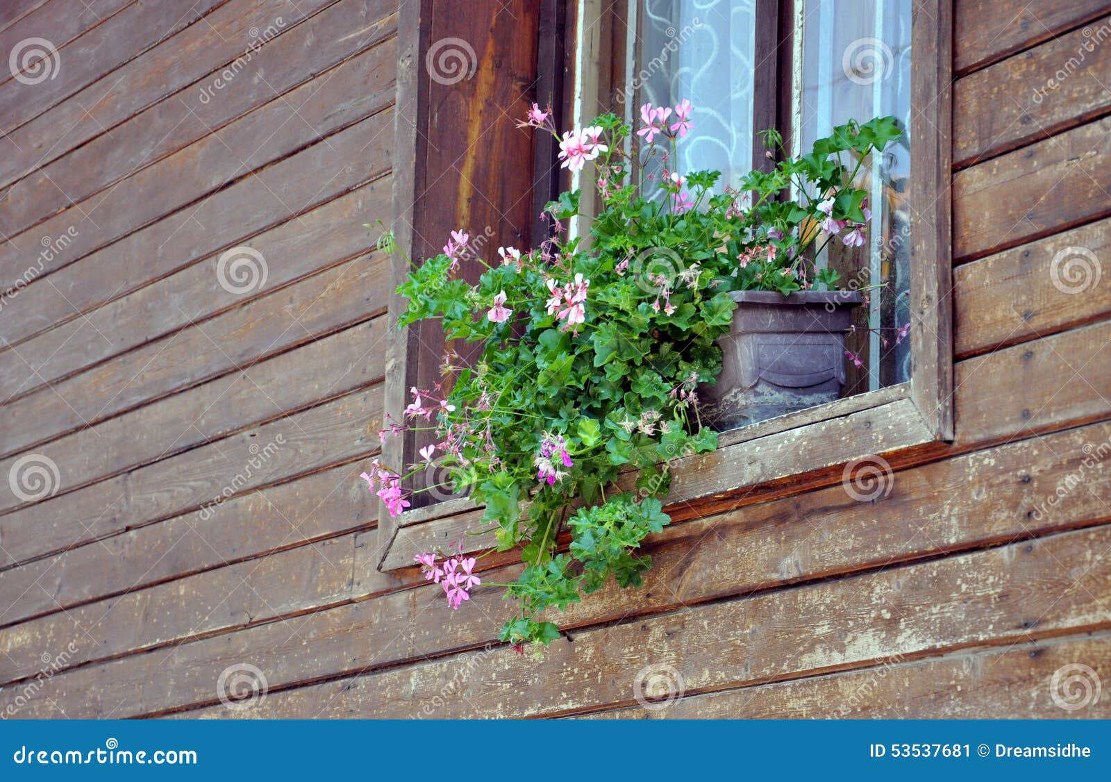 Window with a Pot of Flowers Stock Image - Image of nature, outdoor ...