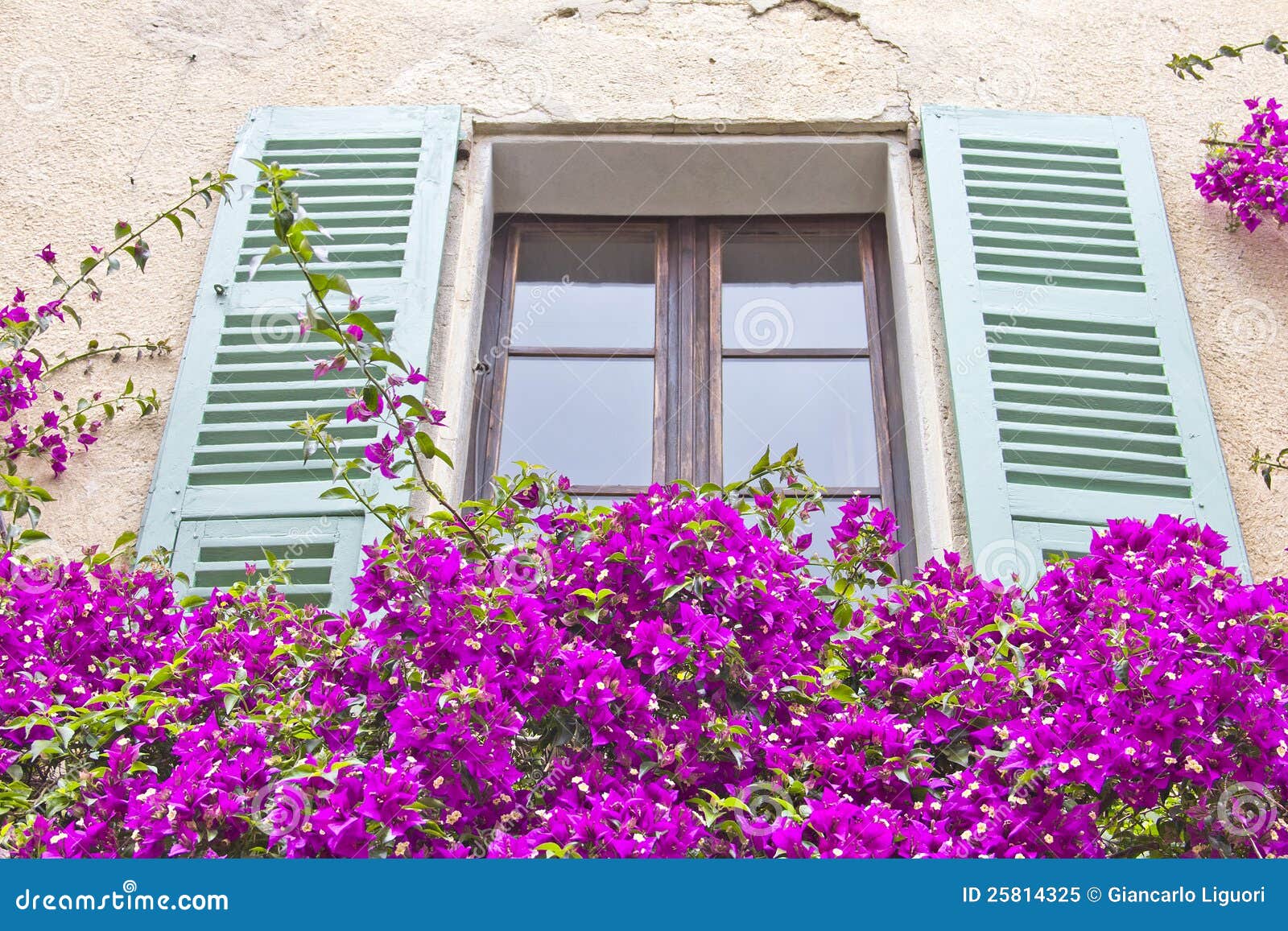 Window in Provence stock image. Image of color, decoration - 25814325