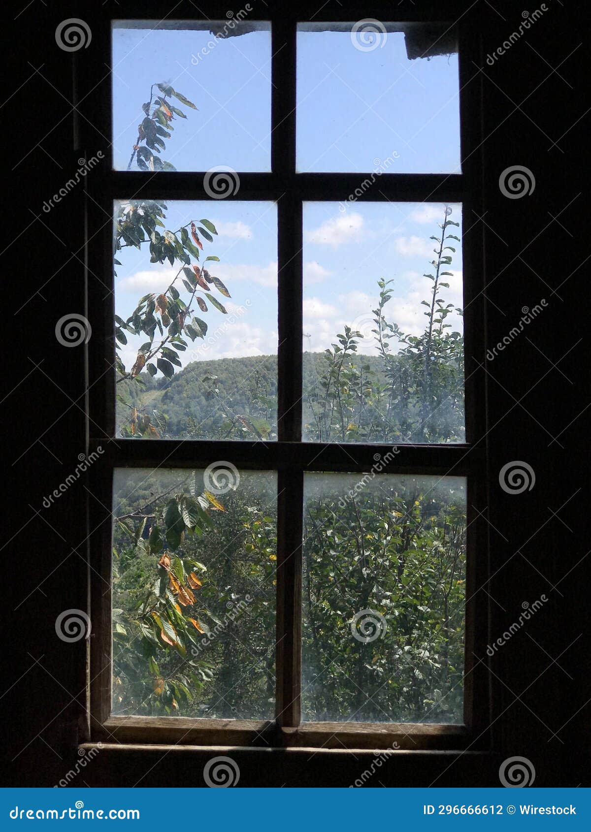Window Providing a Scenic View of the Forest Outside Stock Photo ...