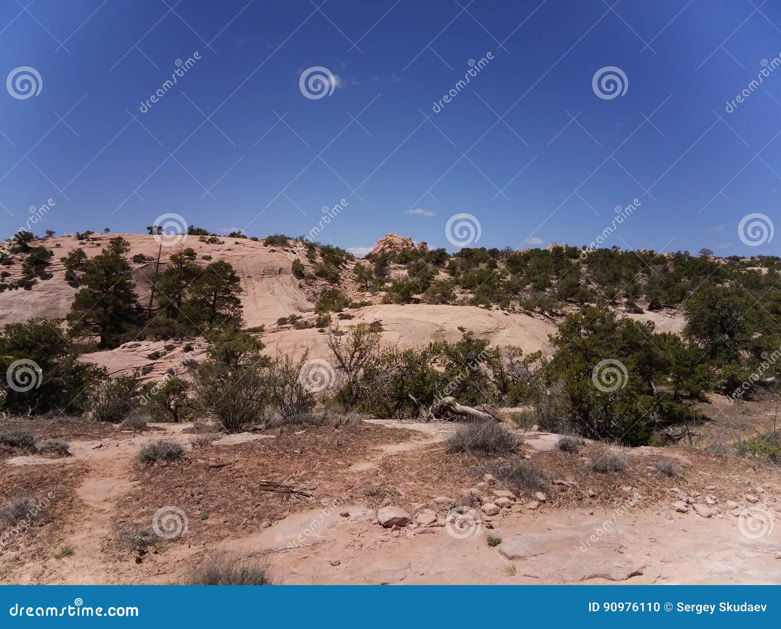 Window Rock Trail stock photo. Image of landscape, native - 90976110