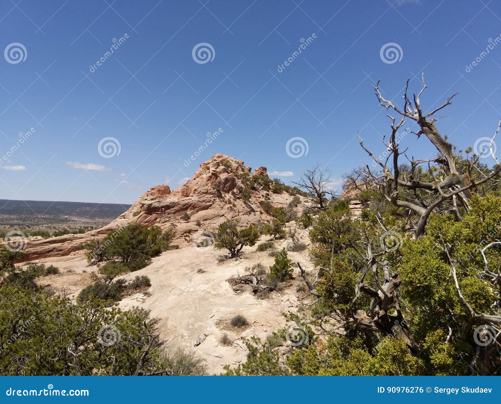 Window Rock Trail stock photo. Image of arizona, outdoor - 90976276