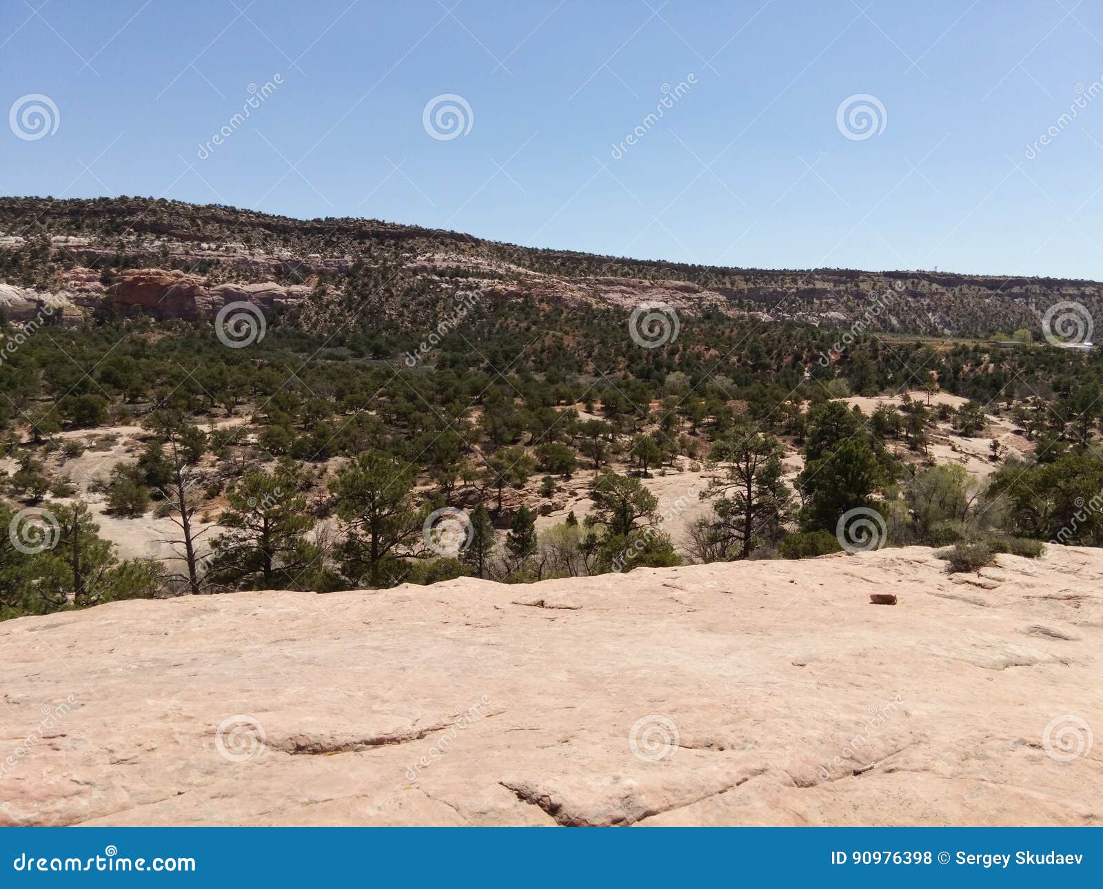 Window Rock Trail stock photo. Image of navajo, trees - 90976398