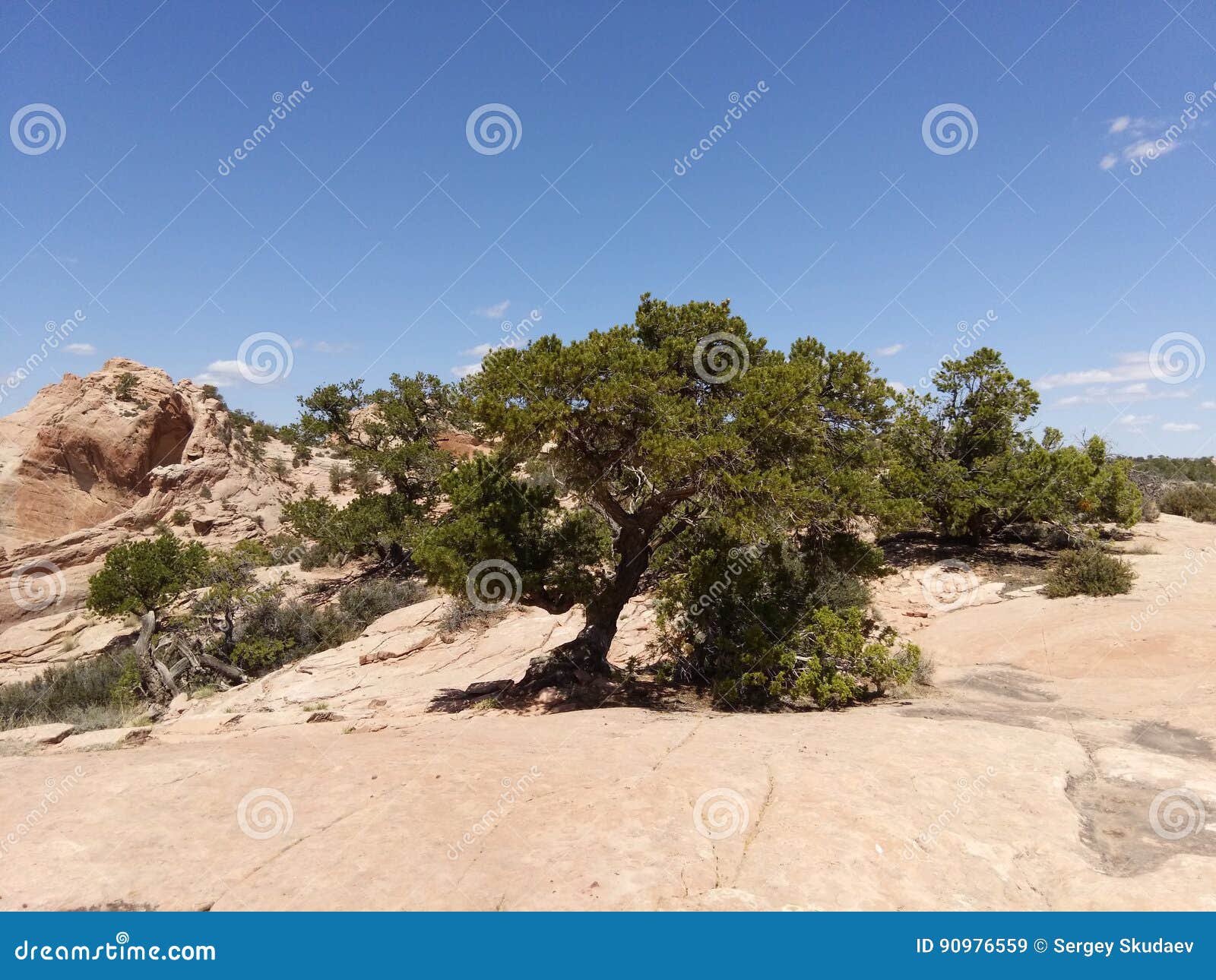Window Rock Trail stock image. Image of western, loop - 90976559