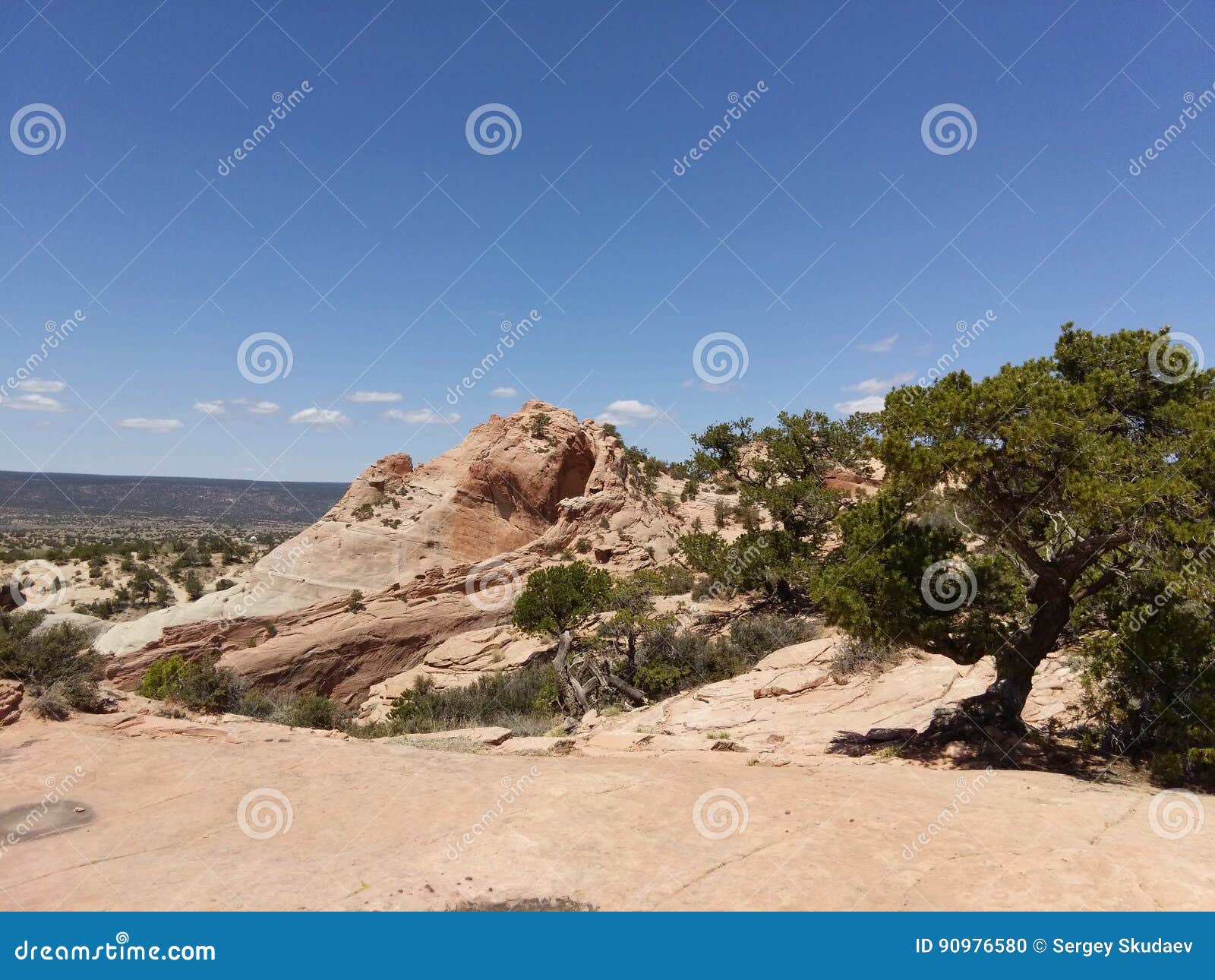 Window Rock Trail stock photo. Image of trees, trail - 90976580