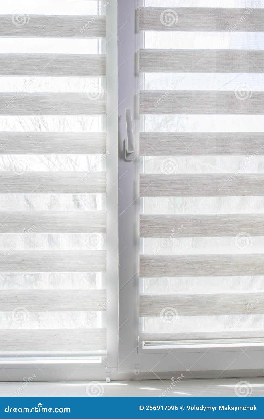 Window Roller Duo System Day and Night. Close Up on Roll Curtains ...