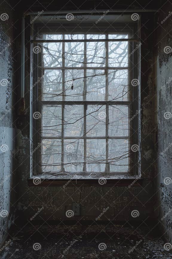 A Window in a Run-down Building with a Tree Outside. Suitable for ...
