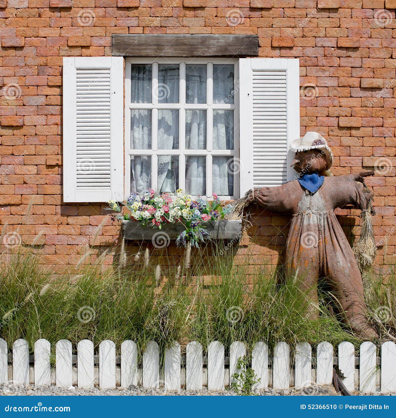 Window with Scarecrow stock photo. Image of crow, fence - 52366510