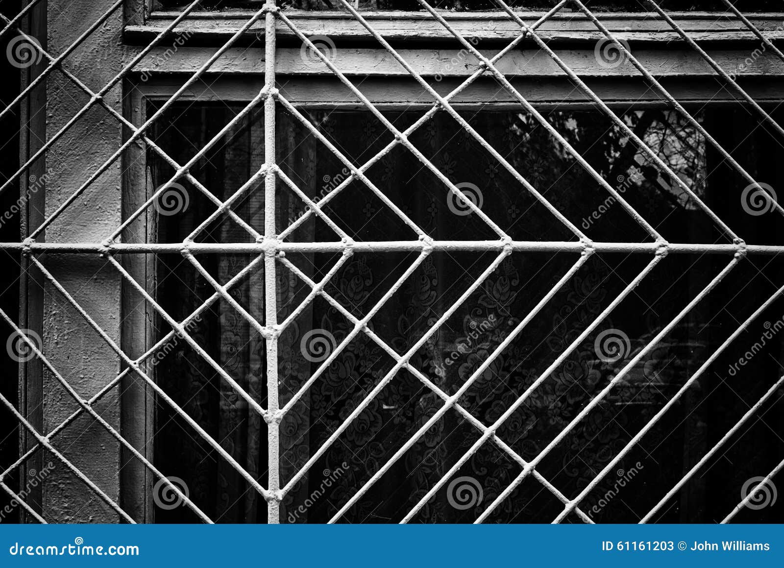 Window Security Frame Constructed from Metal Resembles a Spider Web in ...