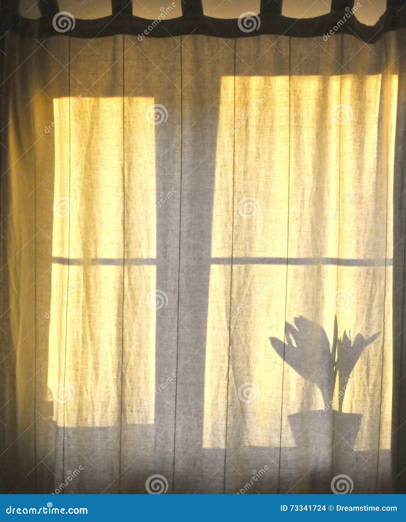 Window shadow stock photo. Image of shadow, effect, curtine - 73341724