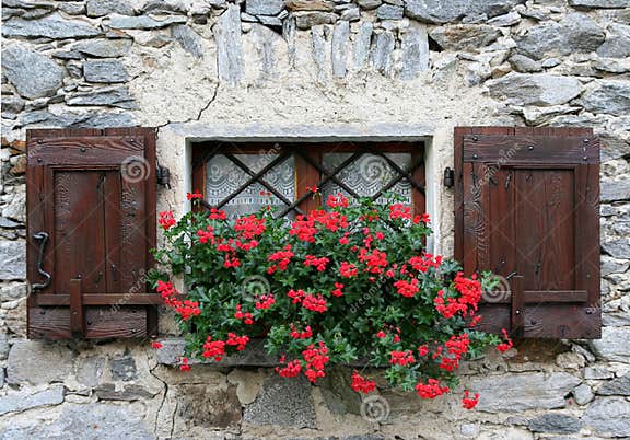 Window with Shutters and Flower Stock Photo - Image of flower ...