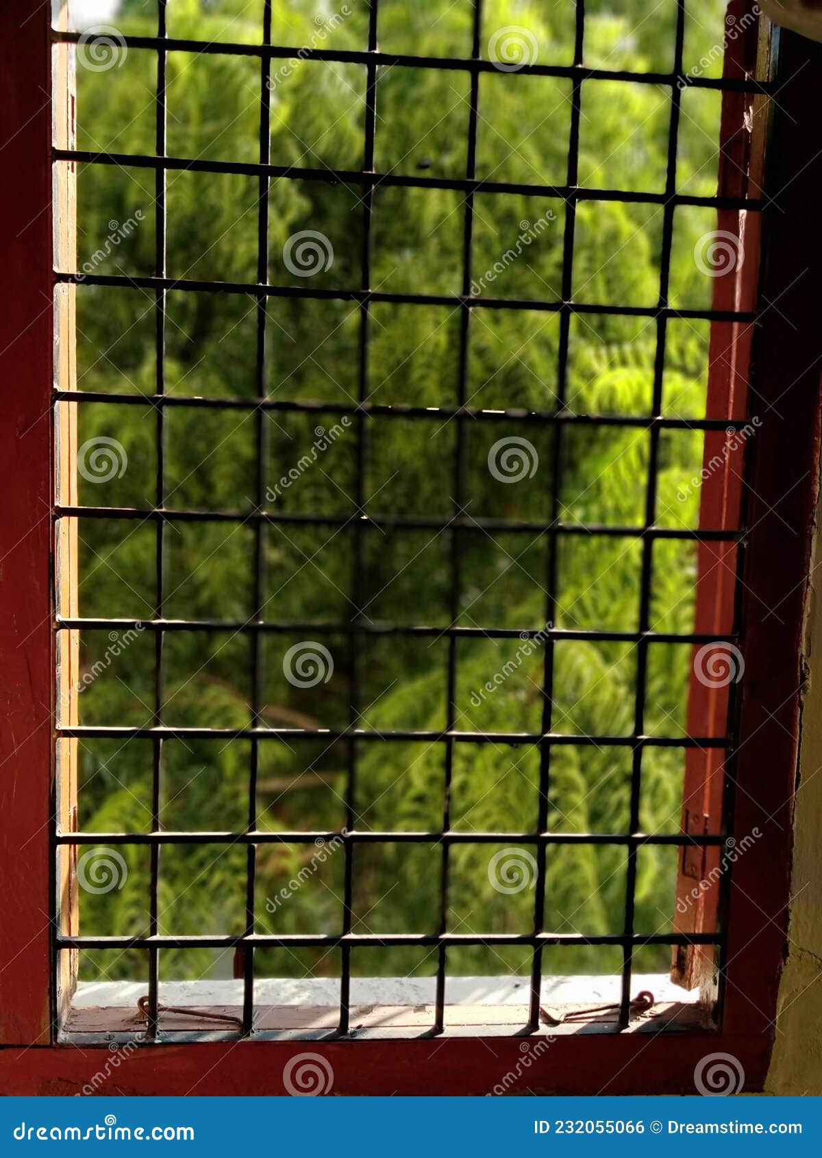 Window side potrait stock photo. Image of yellow, window - 232055066