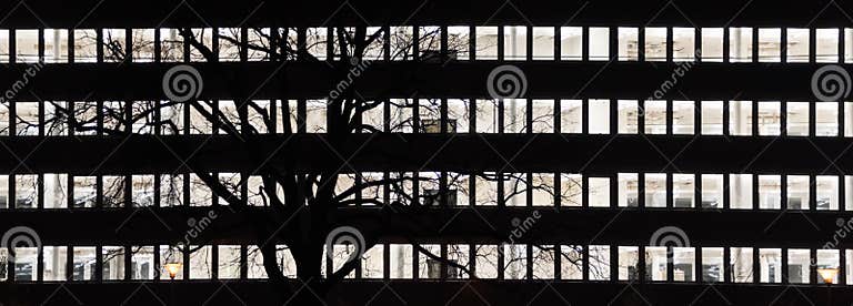 The Window Side by the Side Behind the Black Tree Stock Photo - Image ...
