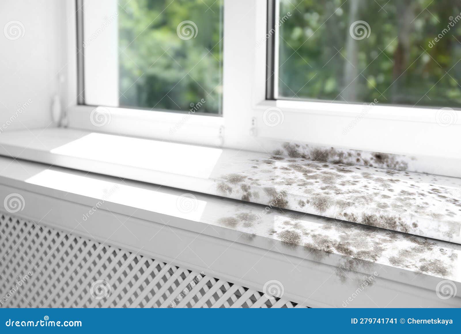 Window Sill Affected with Mold in Room Stock Image - Image of mold ...