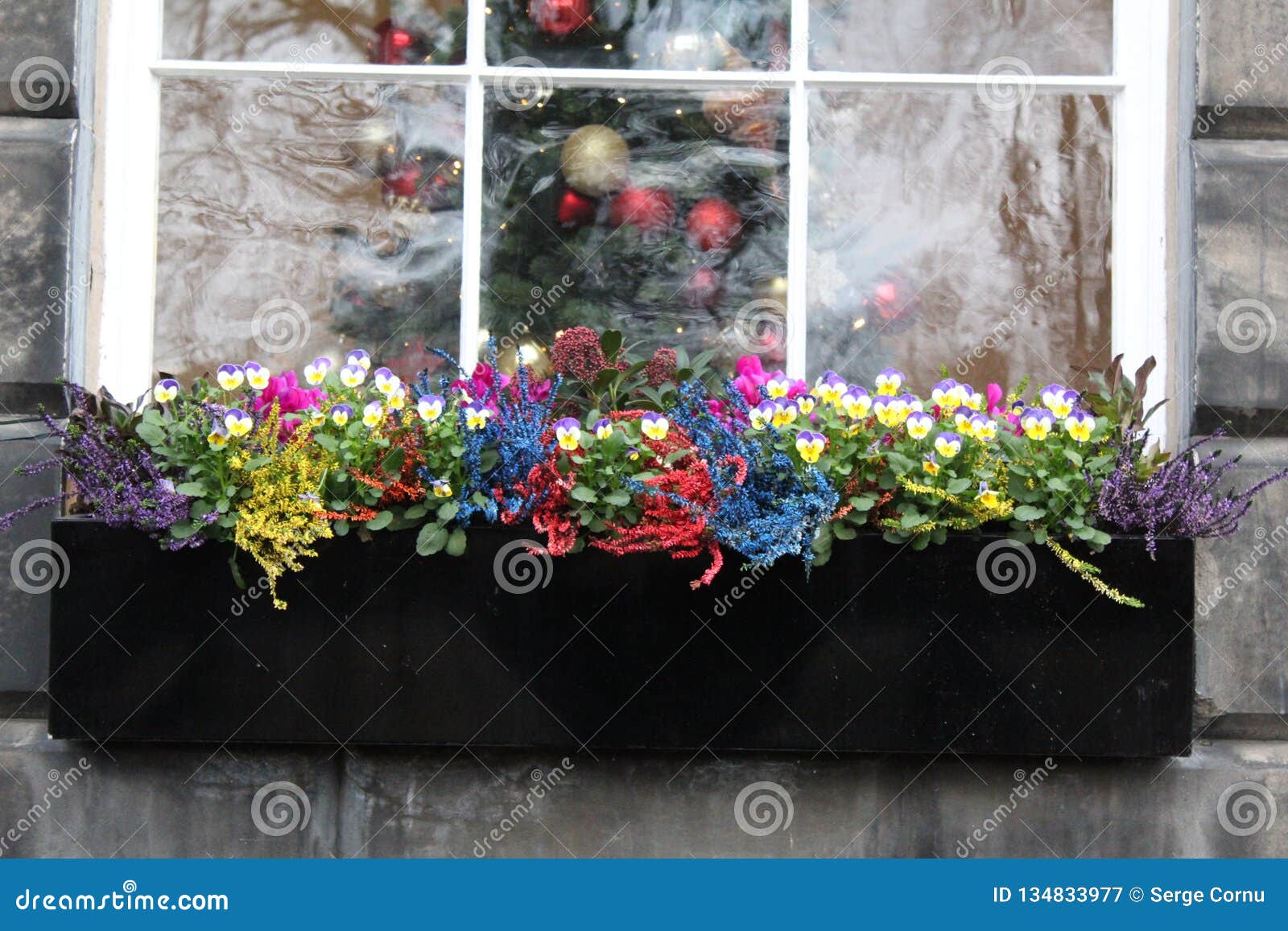 Window Sill Flowers stock image. Image of sill, colourful - 134833977