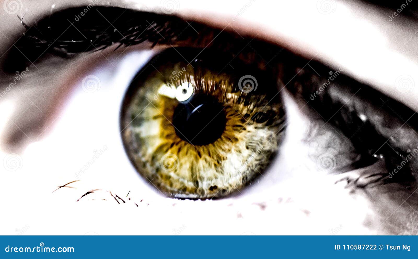 The window of the soul stock photo. Image of soul, people - 110587222