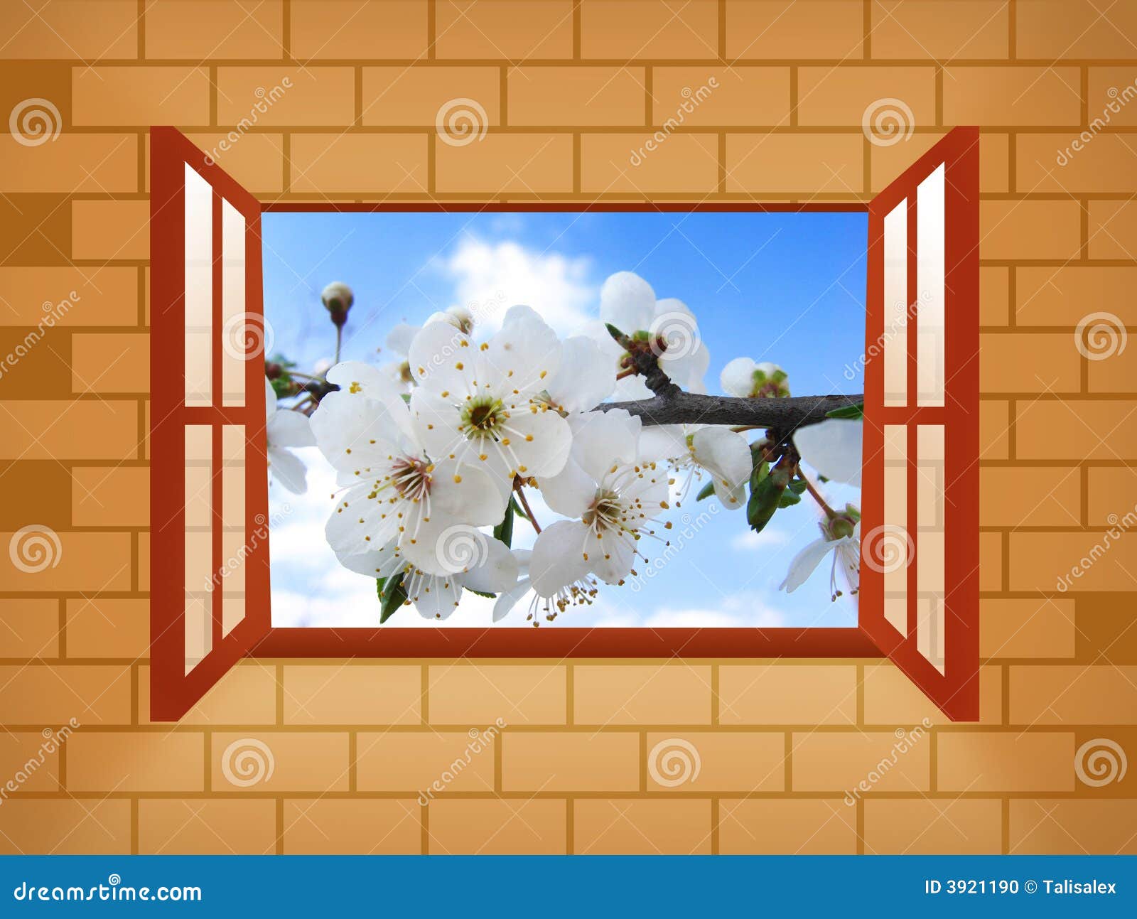 Window with spring blossom stock illustration. Illustration of flora ...