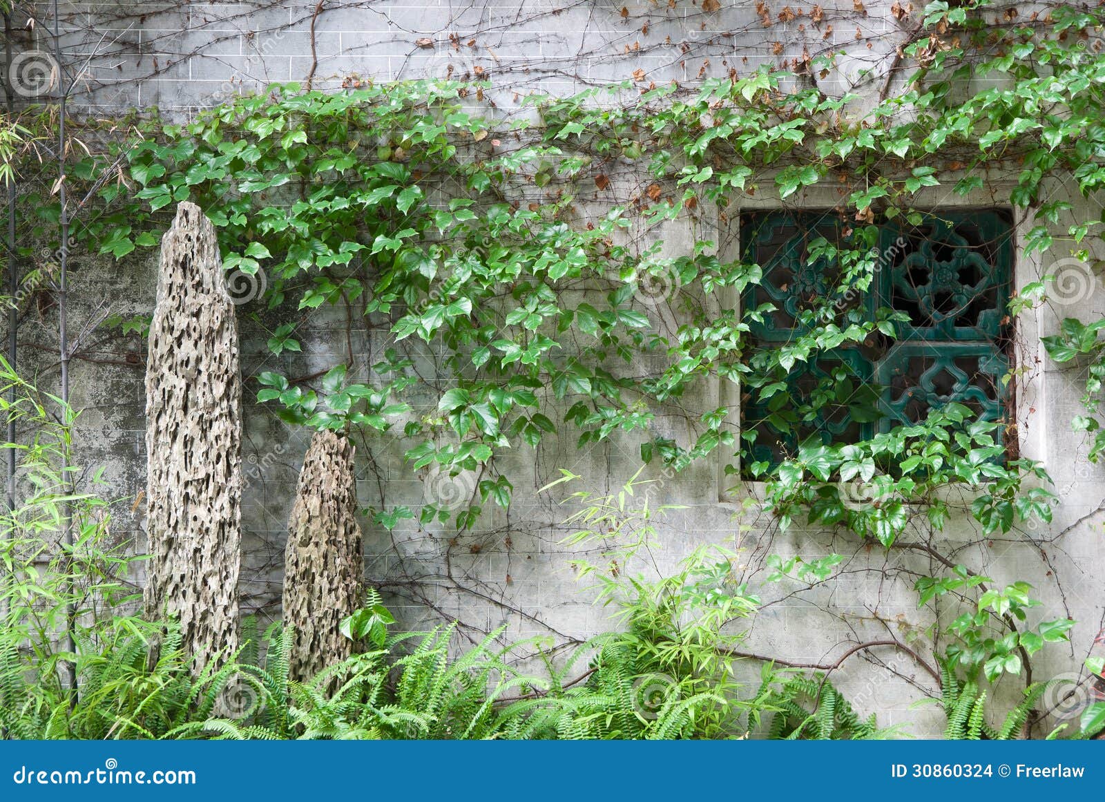 Window Surrounded by Creeping Ivy Stock Photo - Image of home ...