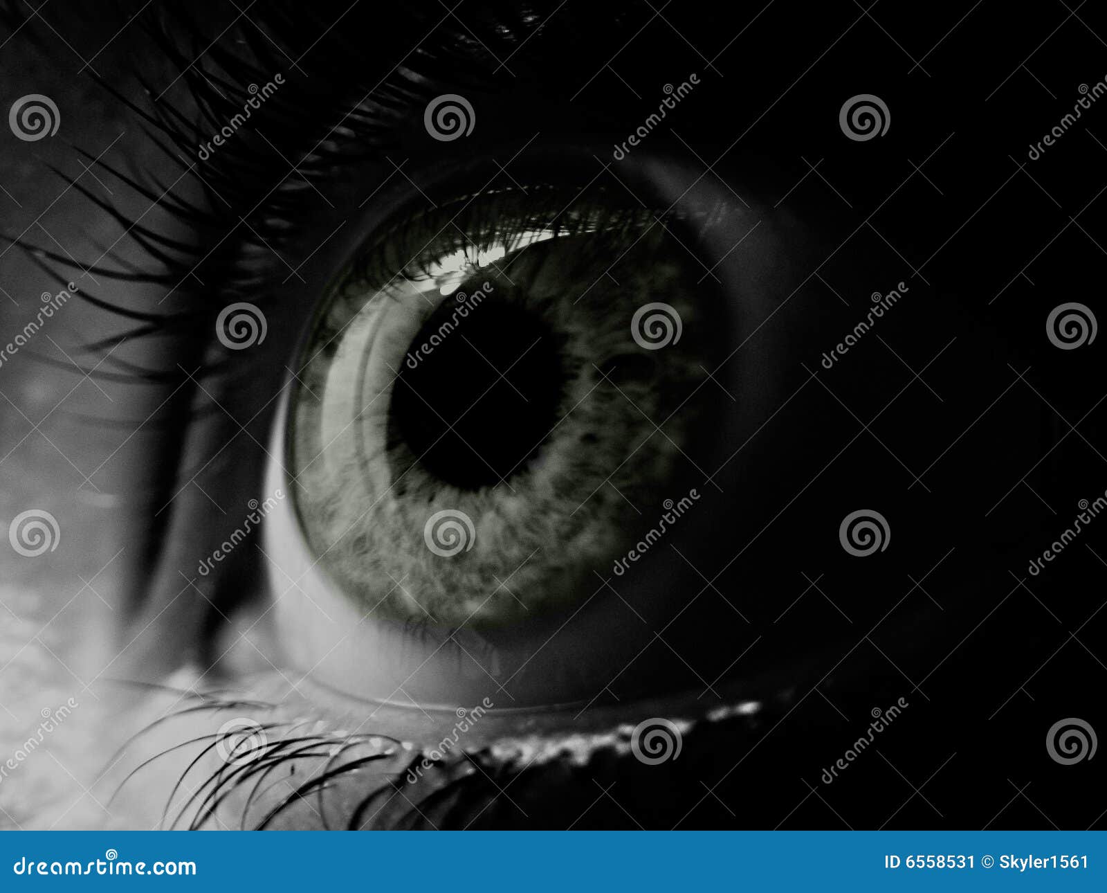 Window to the soul stock image. Image of focal, super - 6558531