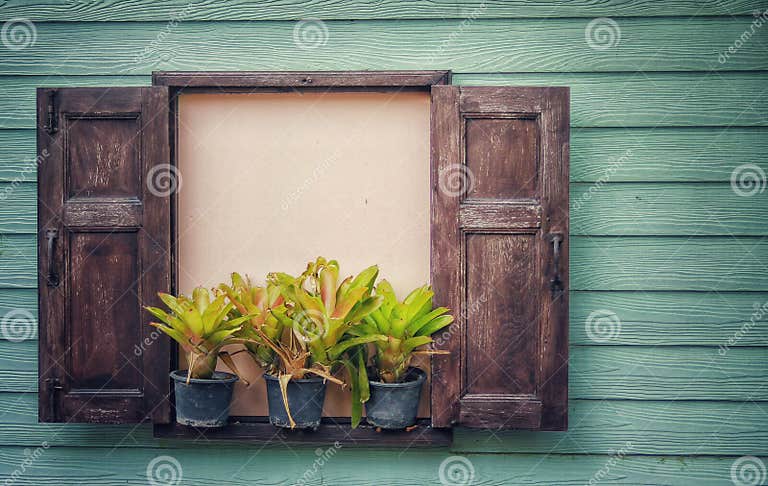 Window stock image. Image of tree, window, texture, wood - 58635353