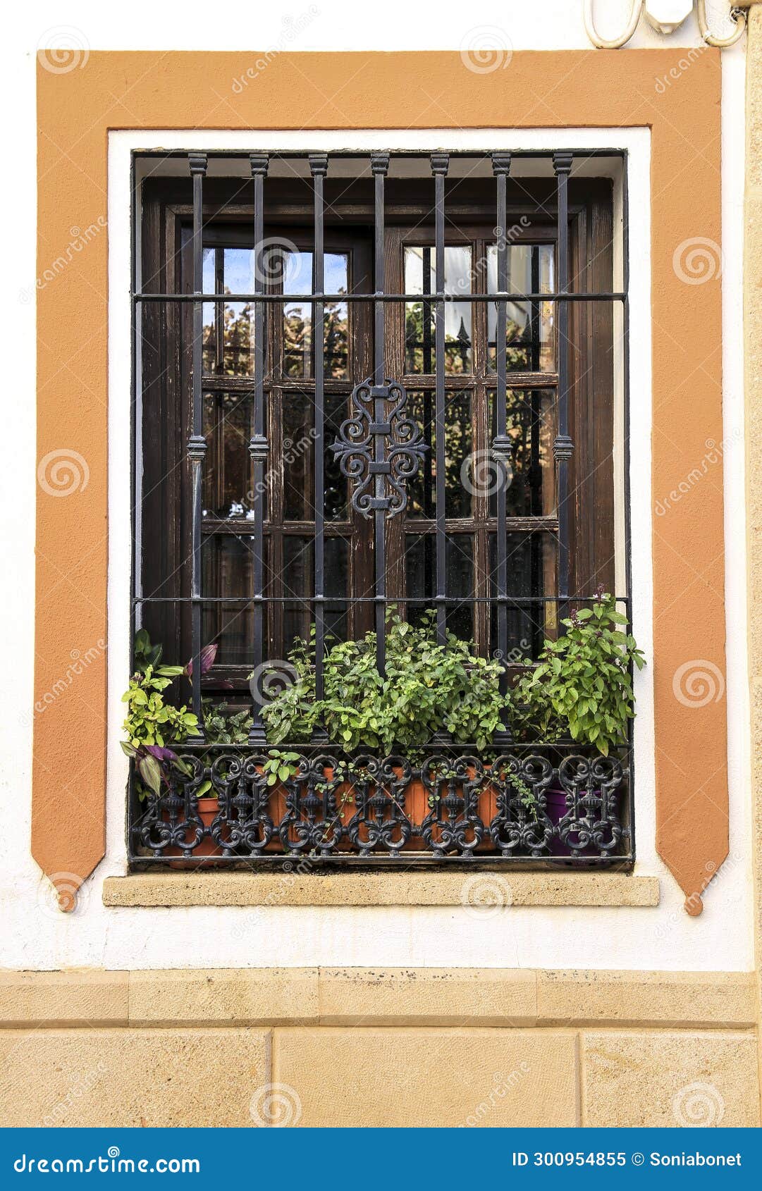Window of Typical Whitewashed House in Ronda, Malaga Stock Image ...
