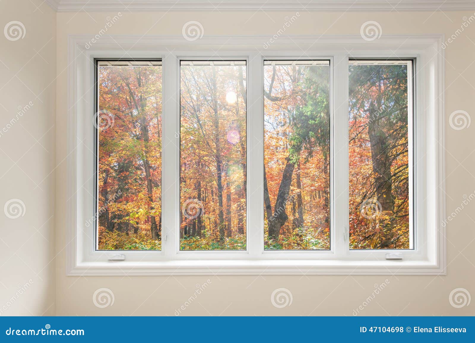 Window with View of Autumn Forest Stock Photo - Image of real, plants ...
