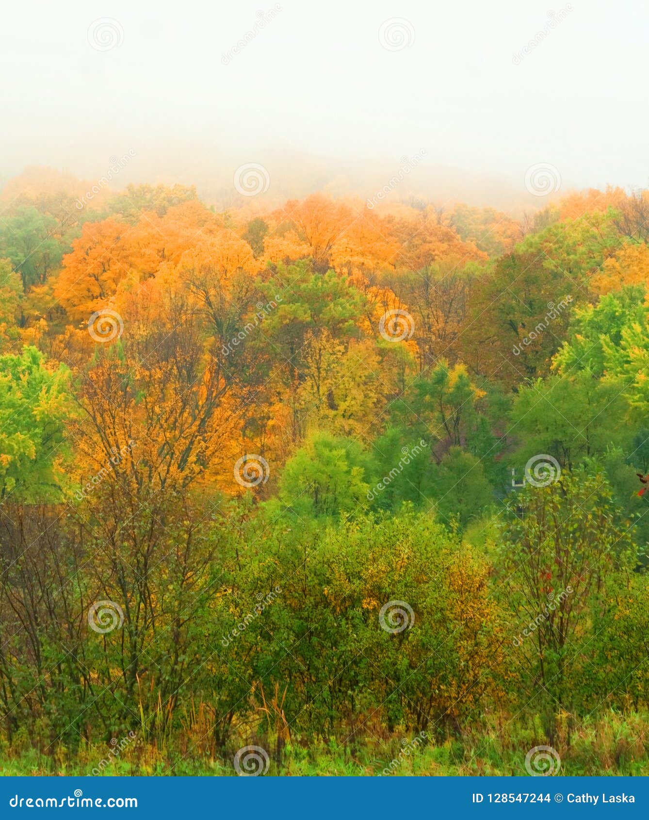 Window View of Beautiful Colored Autumn Forest Stock Photo - Image of ...