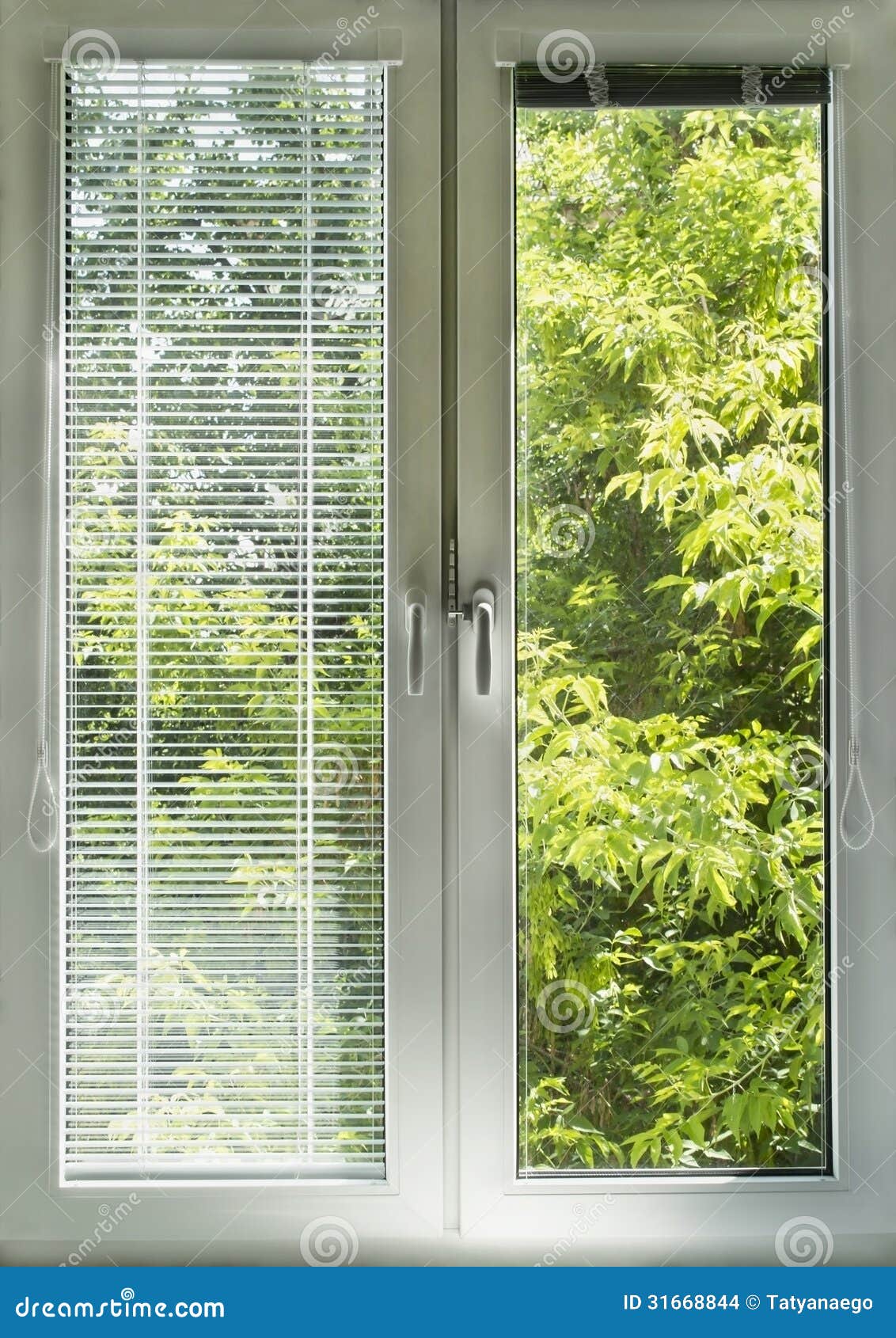 Window view stock photo. Image of rectangle, beauty, life - 31668844