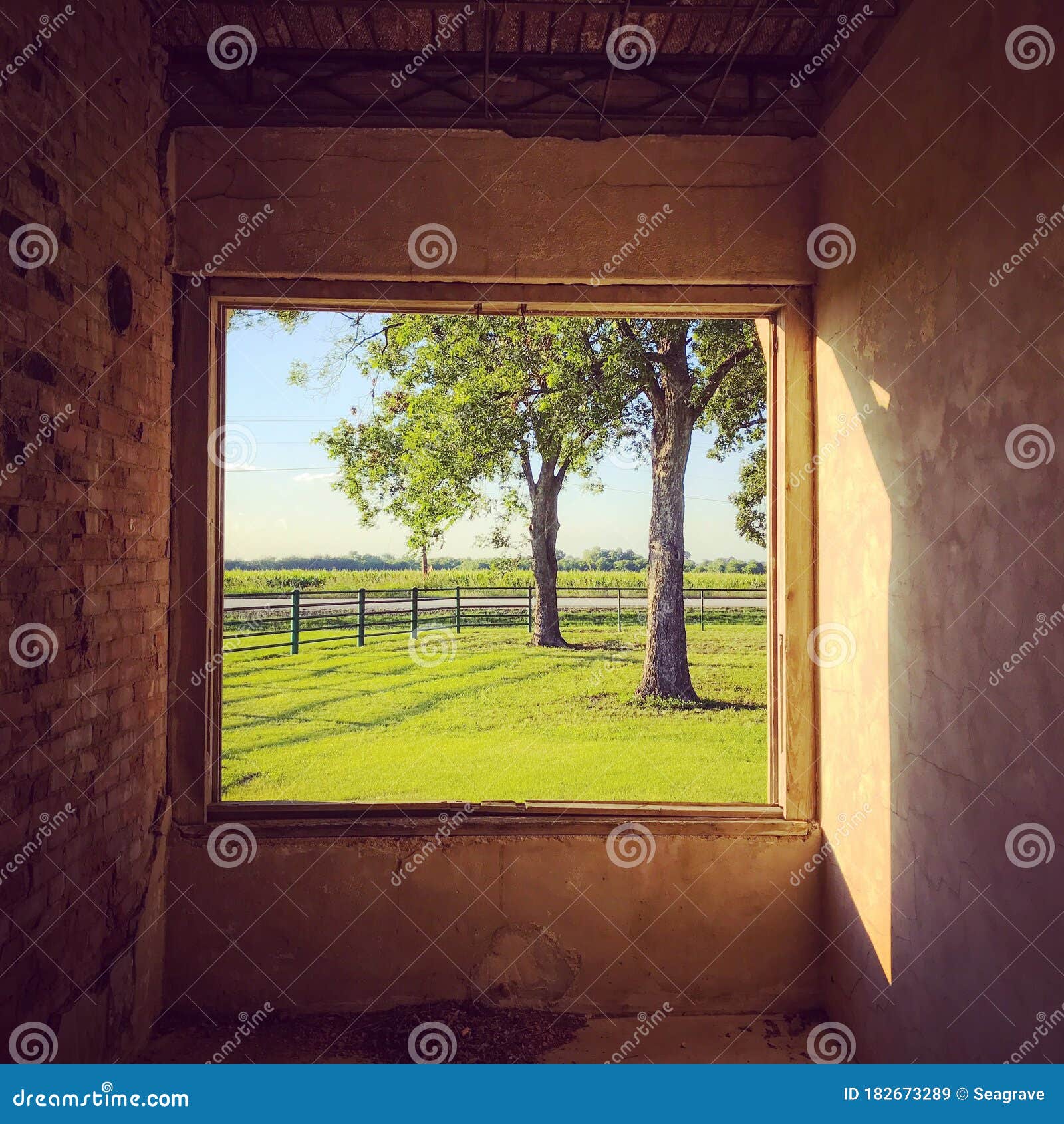 View of lawn with trees stock image. Image of sight - 182673289