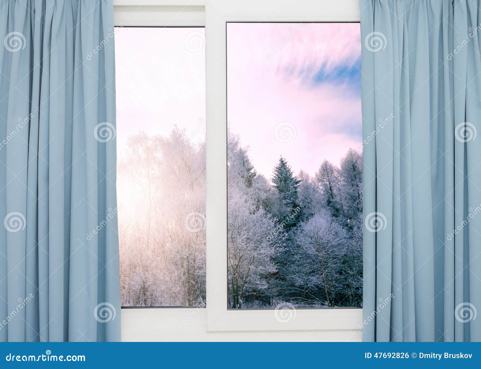 Window View of the Sea Palm Stock Photo - Image of furlough, appearance ...