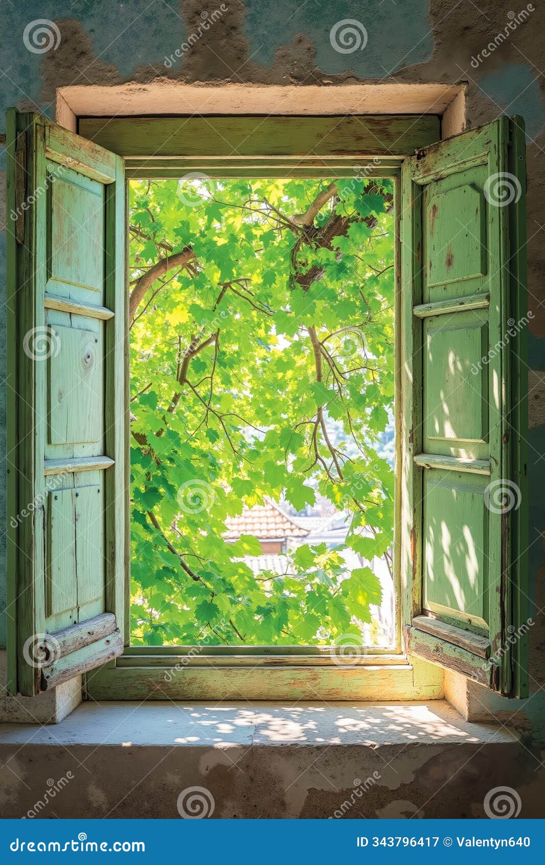 A Window with a View of a Tree through it Stock Image - Image of green ...