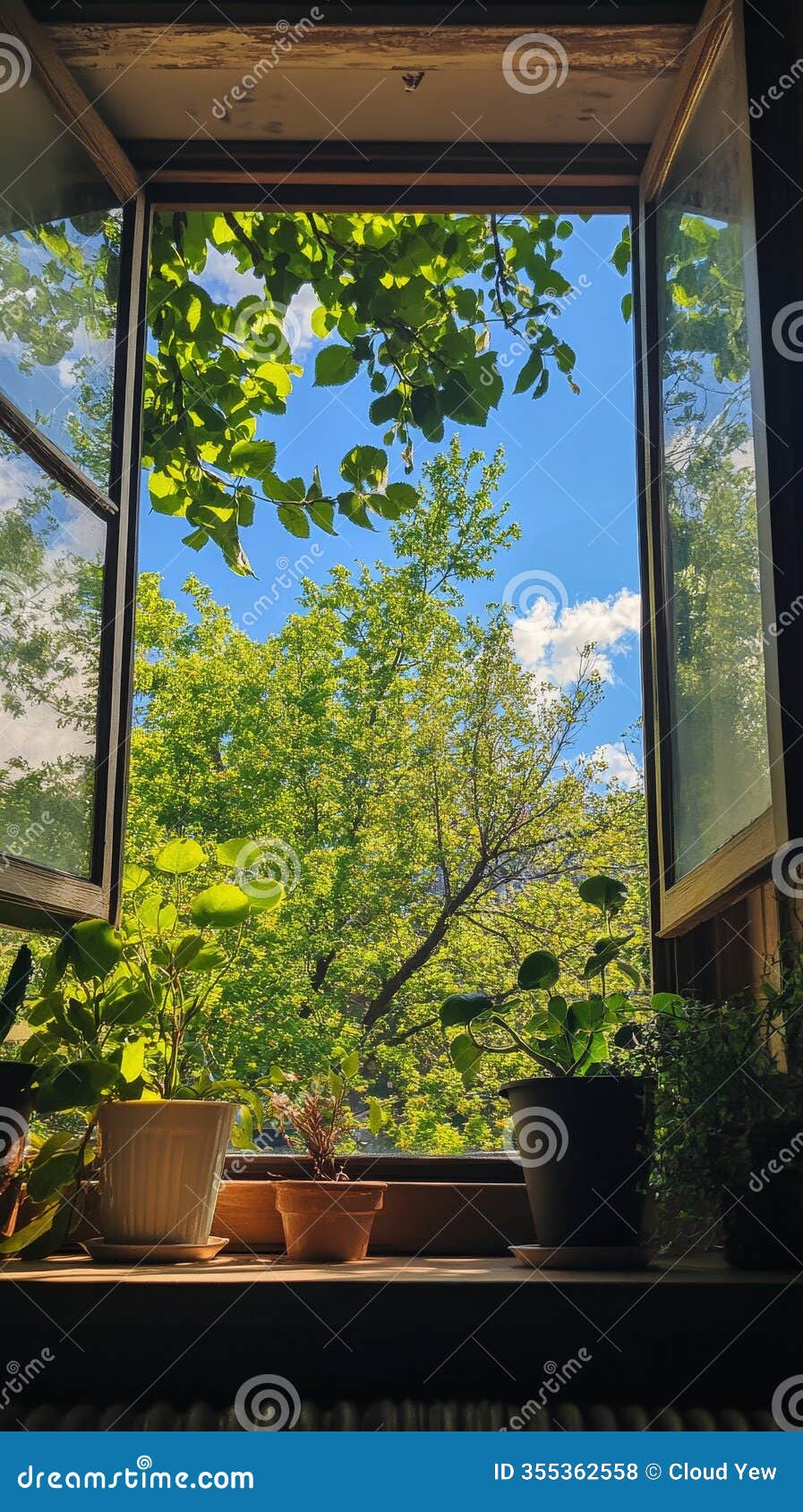 A Window with a View of Trees and a Blue Sky Stock Illustration ...