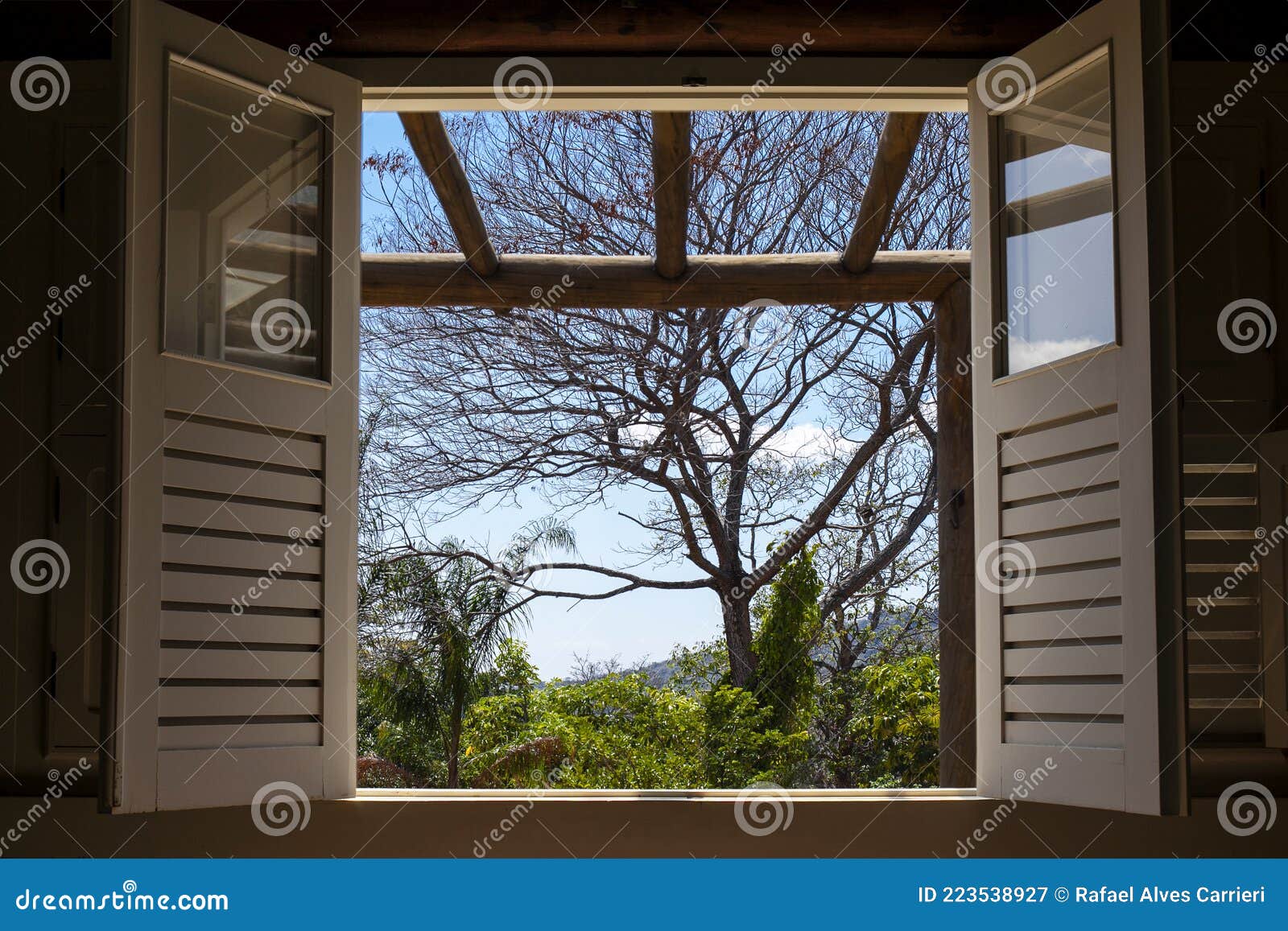 Window View with Trees and Mountains Stock Image - Image of estate ...