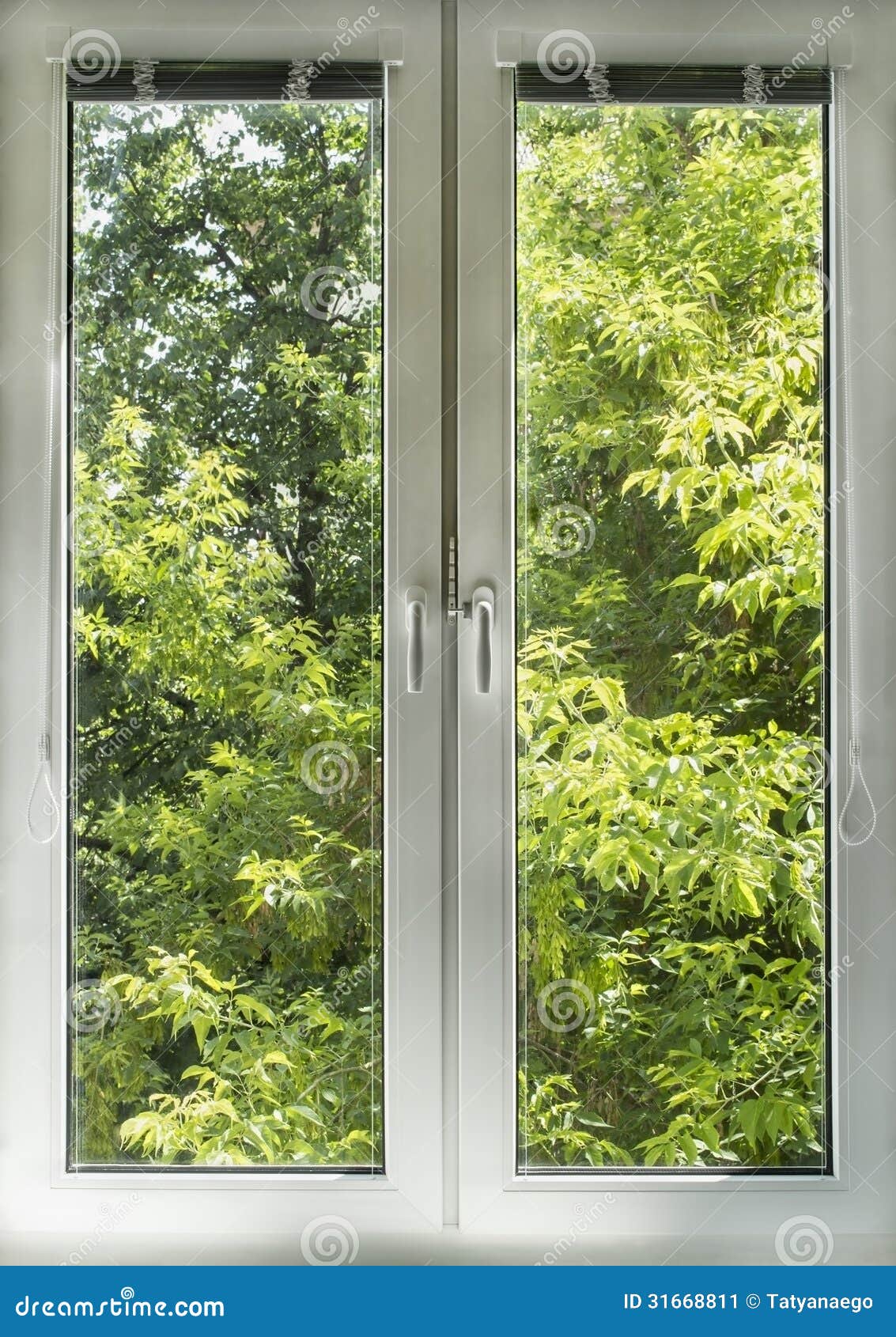 Window views stock image. Image of spring, bright, life - 31668811