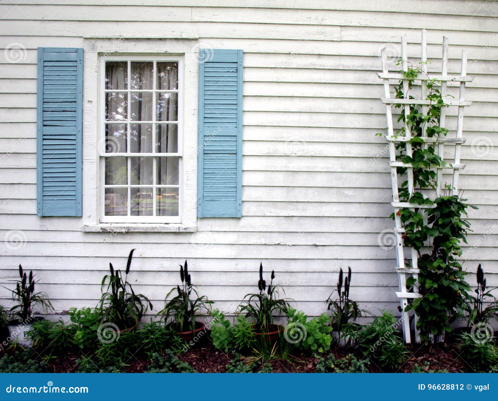 A Window and Vines stock photo. Image of rule, trellis - 96628812