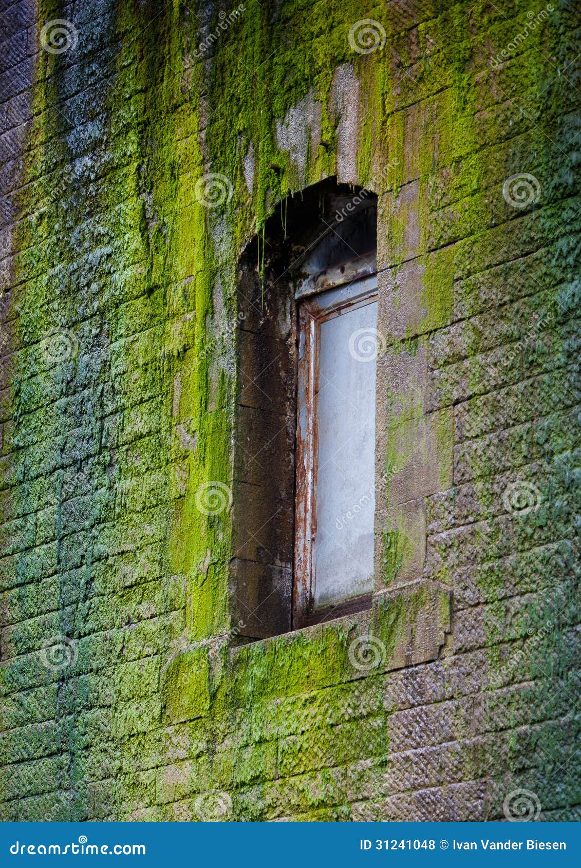 Window in a Wall Covered with Moss Stock Photo - Image of cement ...