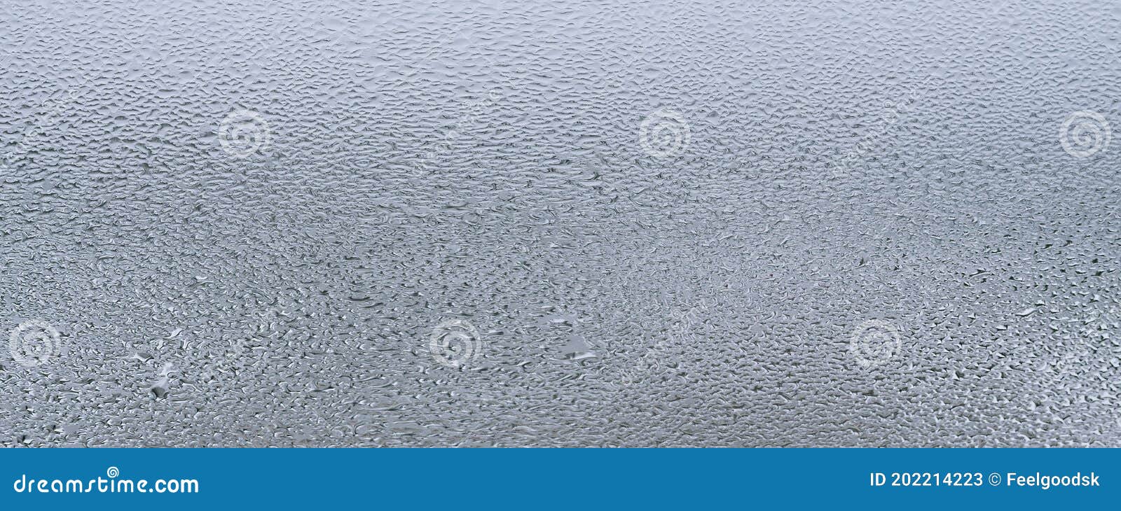 Window with Water Drops Closeup, Inside, Selective Focus. Window with ...